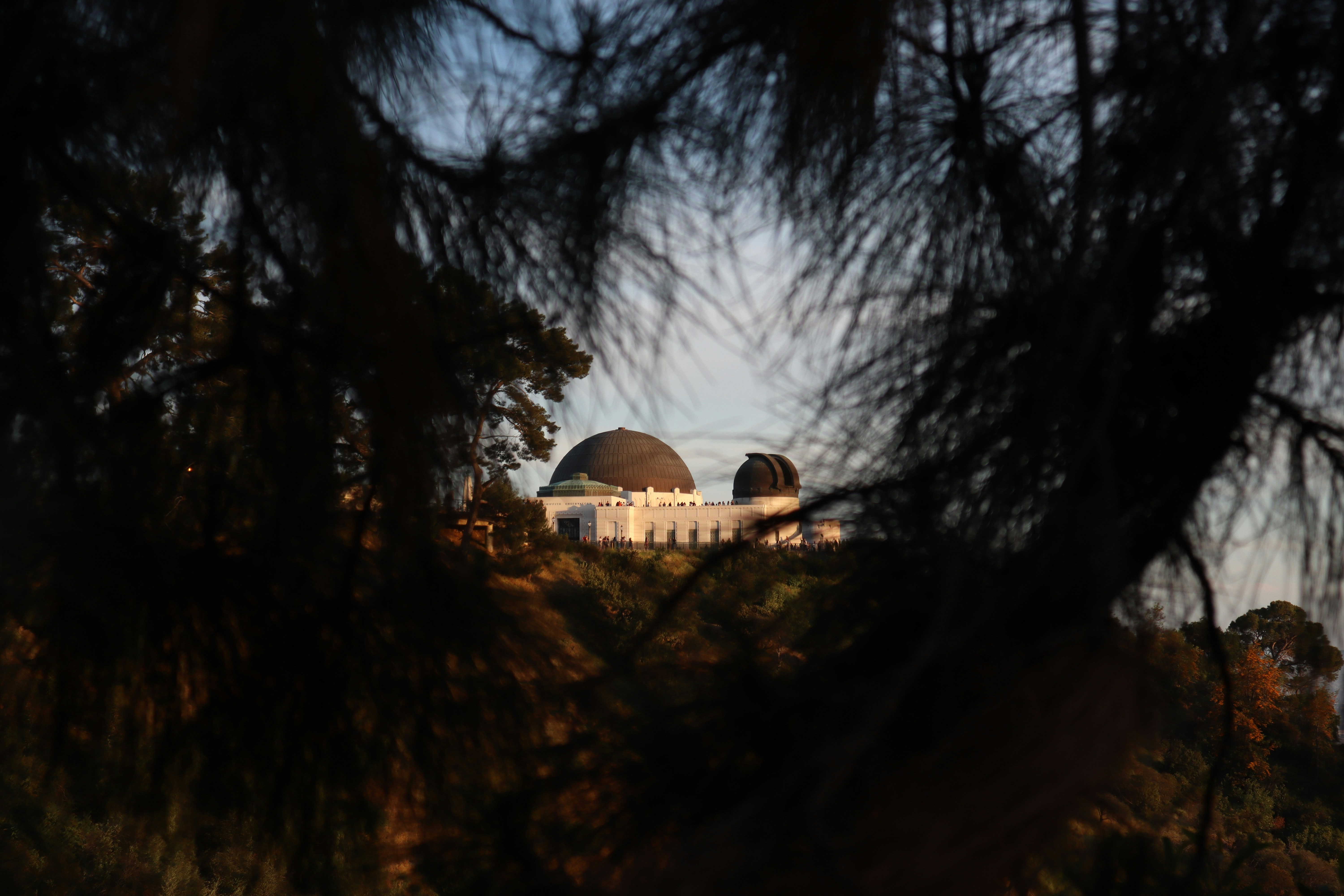 Hidden Observatory: A Dome Peeks Through Framing Branches