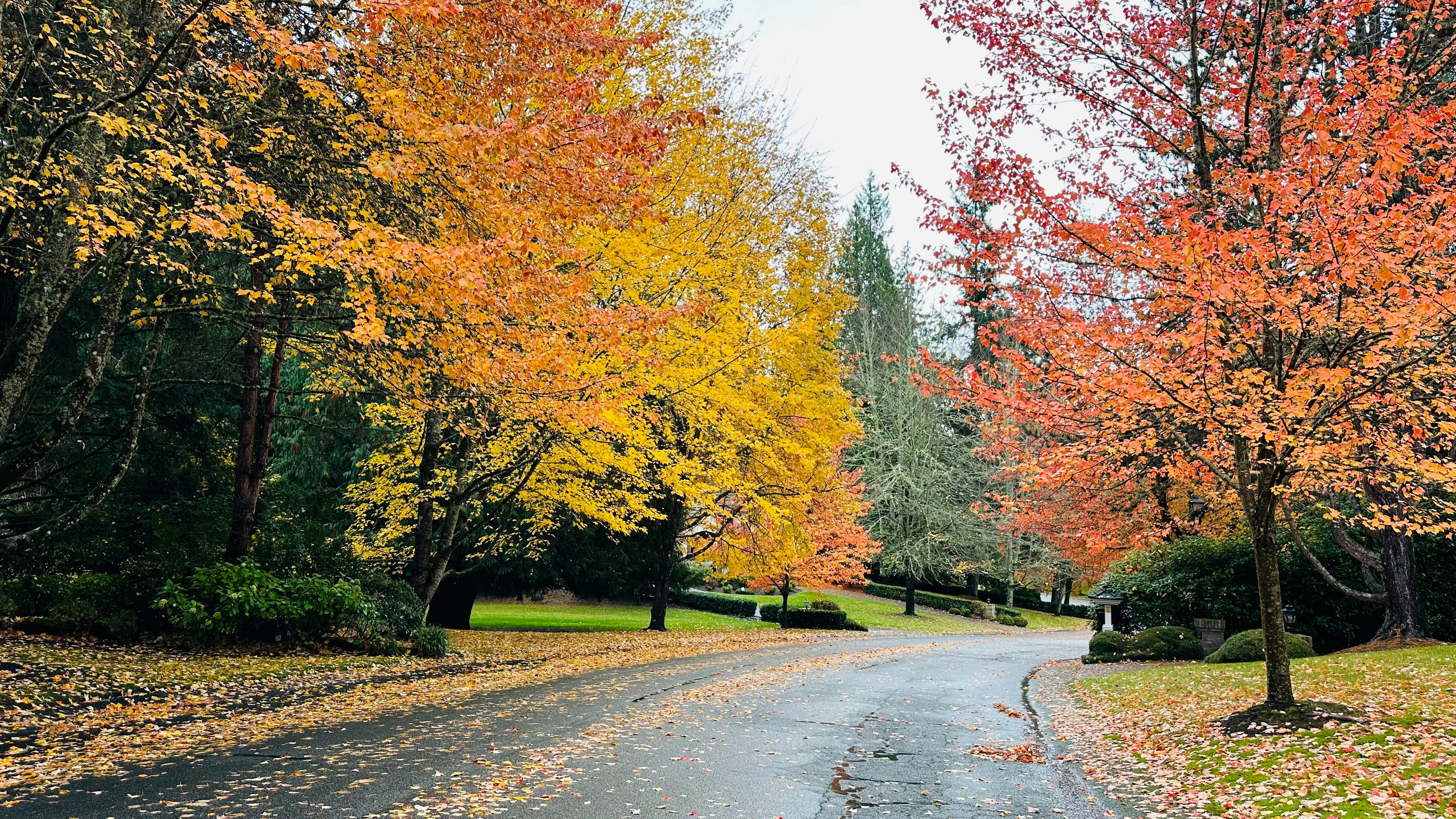 Aditya Chittella (@chittella) | Unsplashフォトコミュニティ