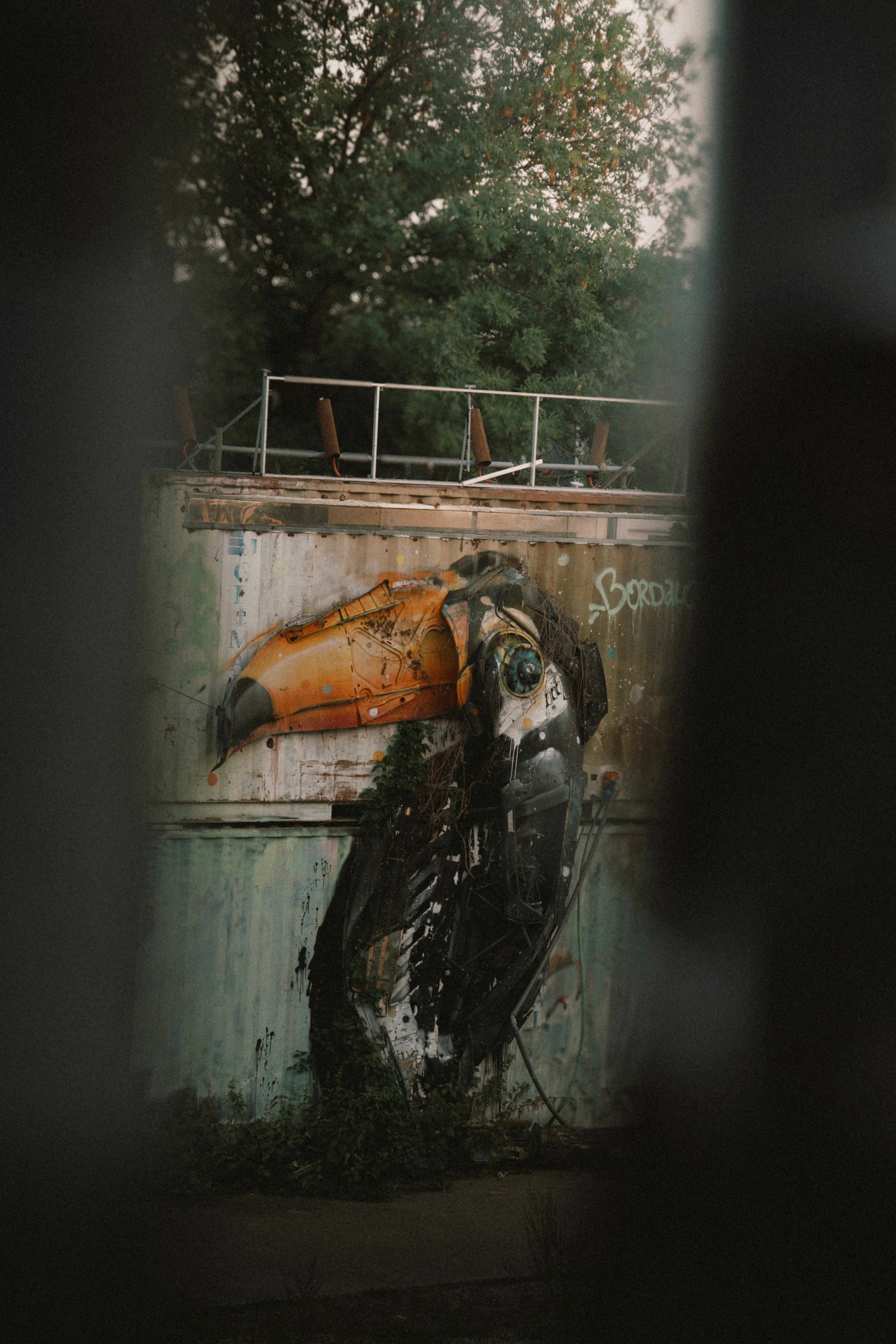 Rusted Orange Motorcycle Silhouette Framed by Graffiti in a Dilapidated Yard