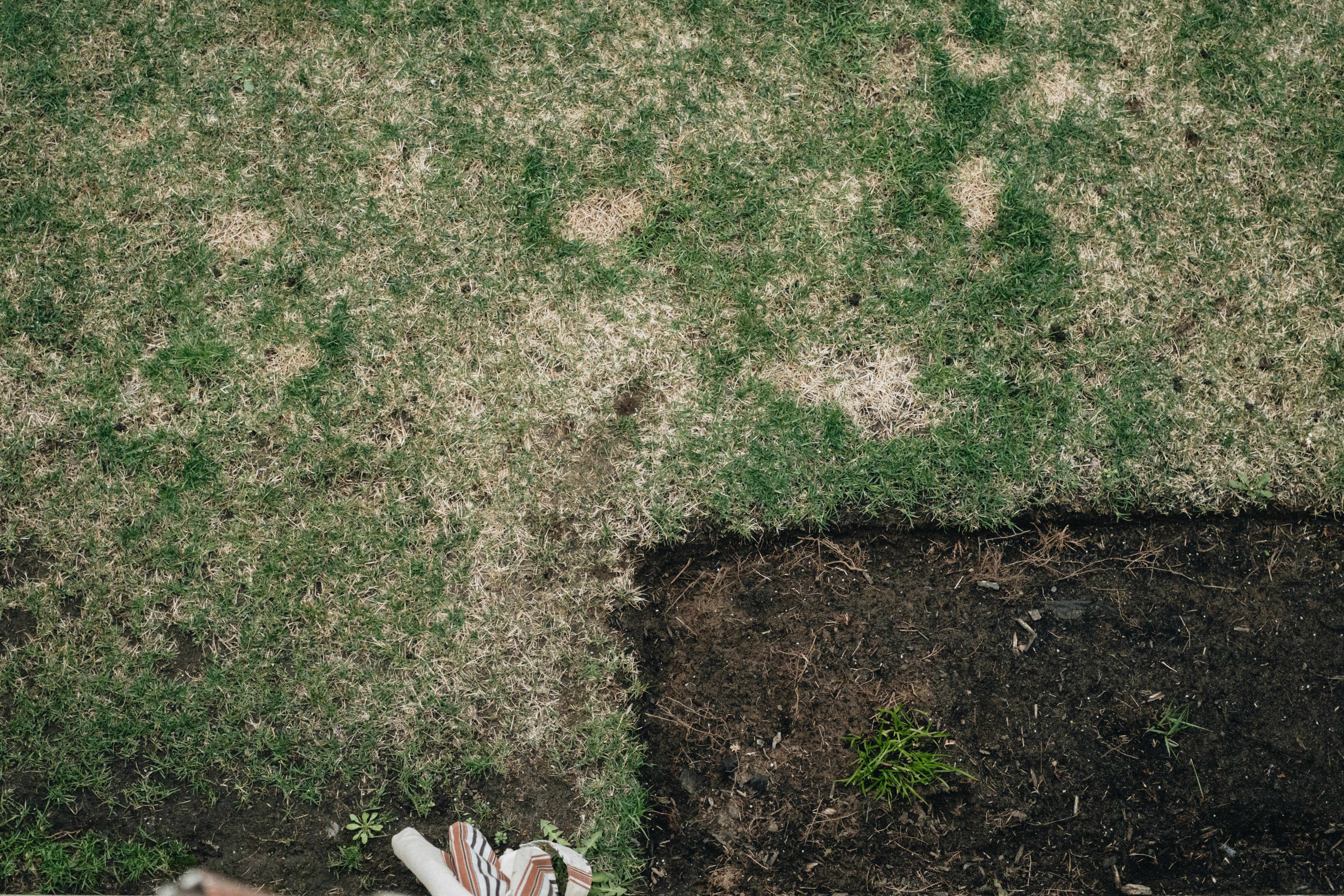 Edge of Green and Earth: A Quiet Frame