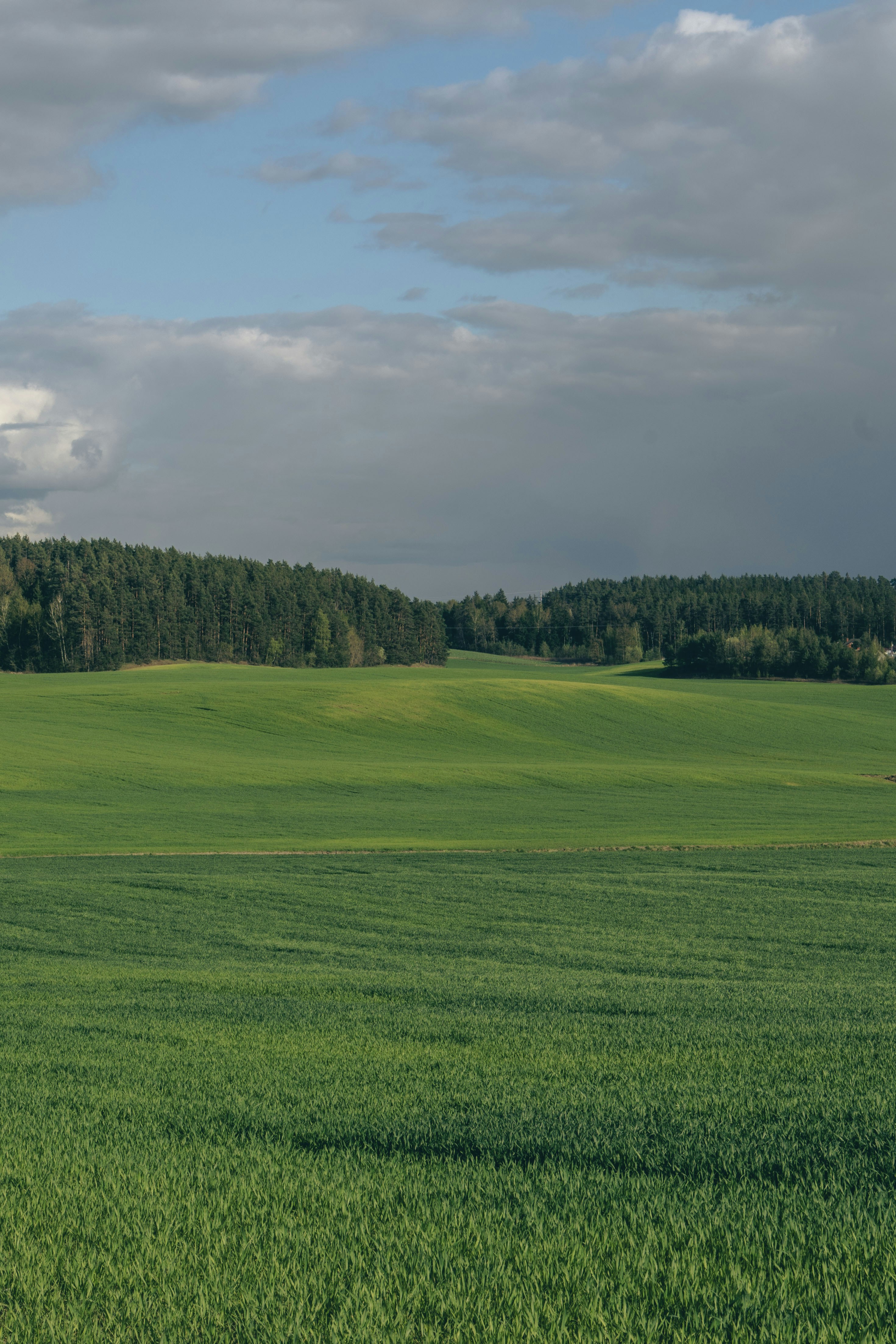 Green field meets forest under a cloudy sky. photo – Free Forest Image ...