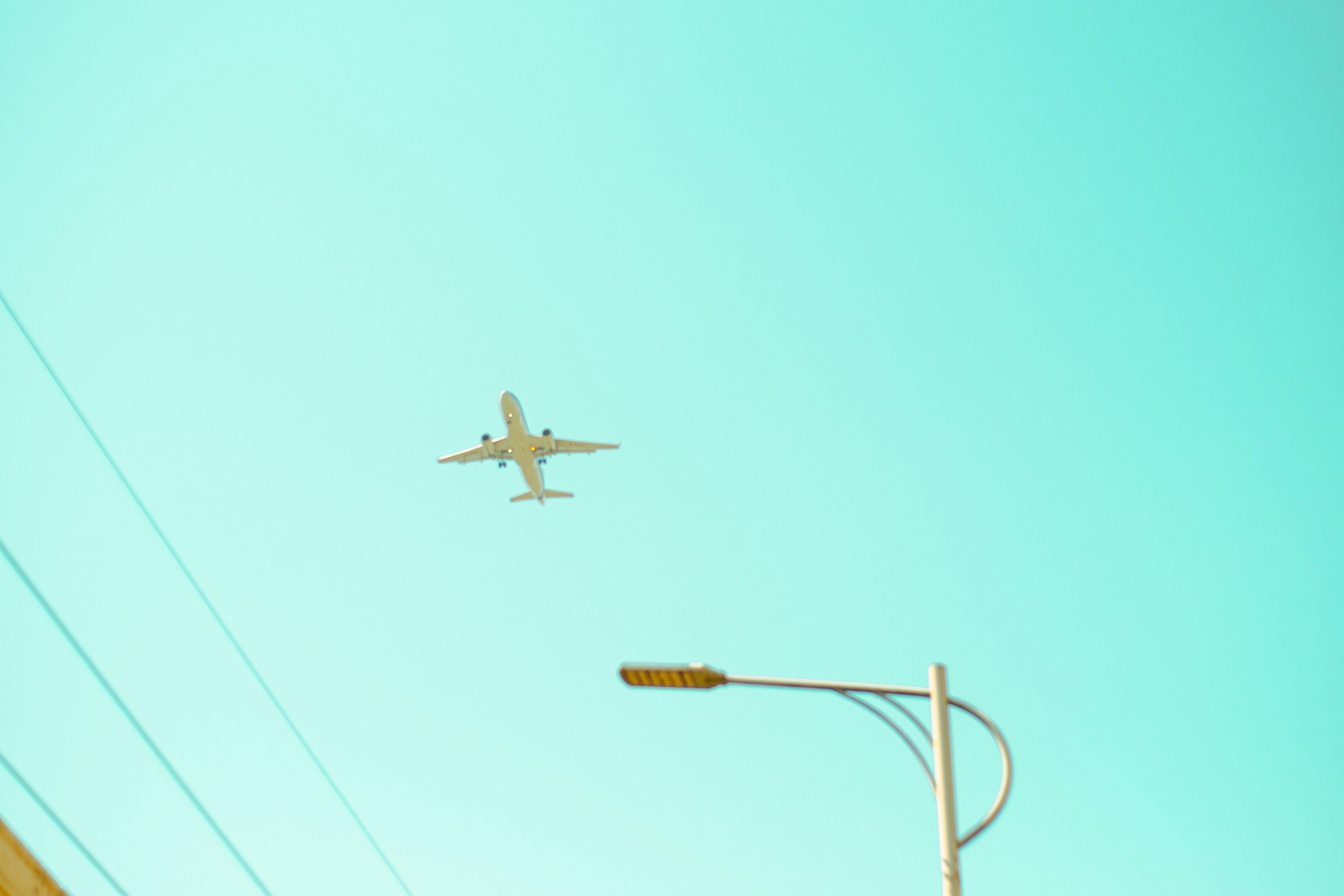 Soaring Above Urban Landscapes