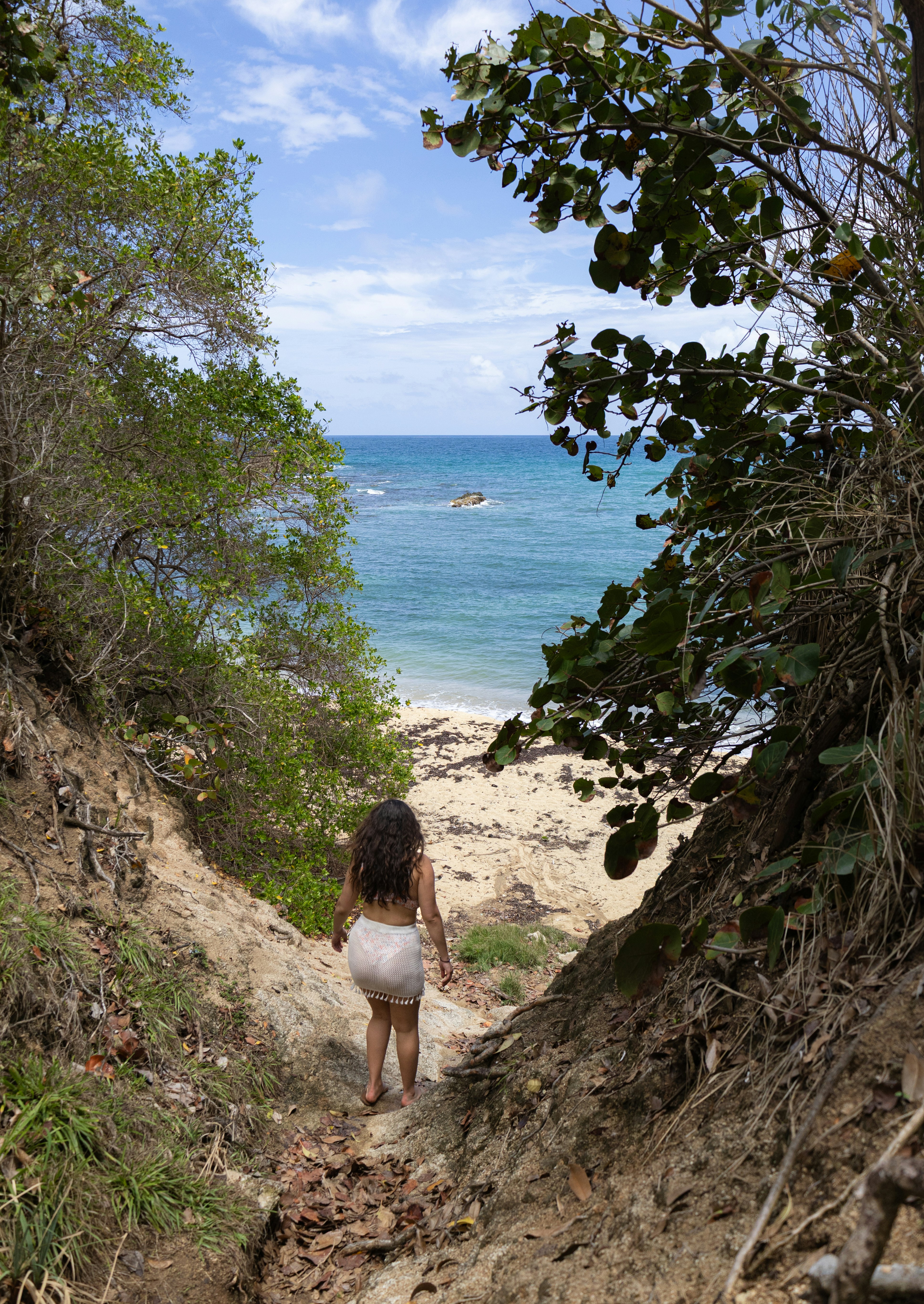 Emerging from the Cove: Childlike Steps Toward the Sea