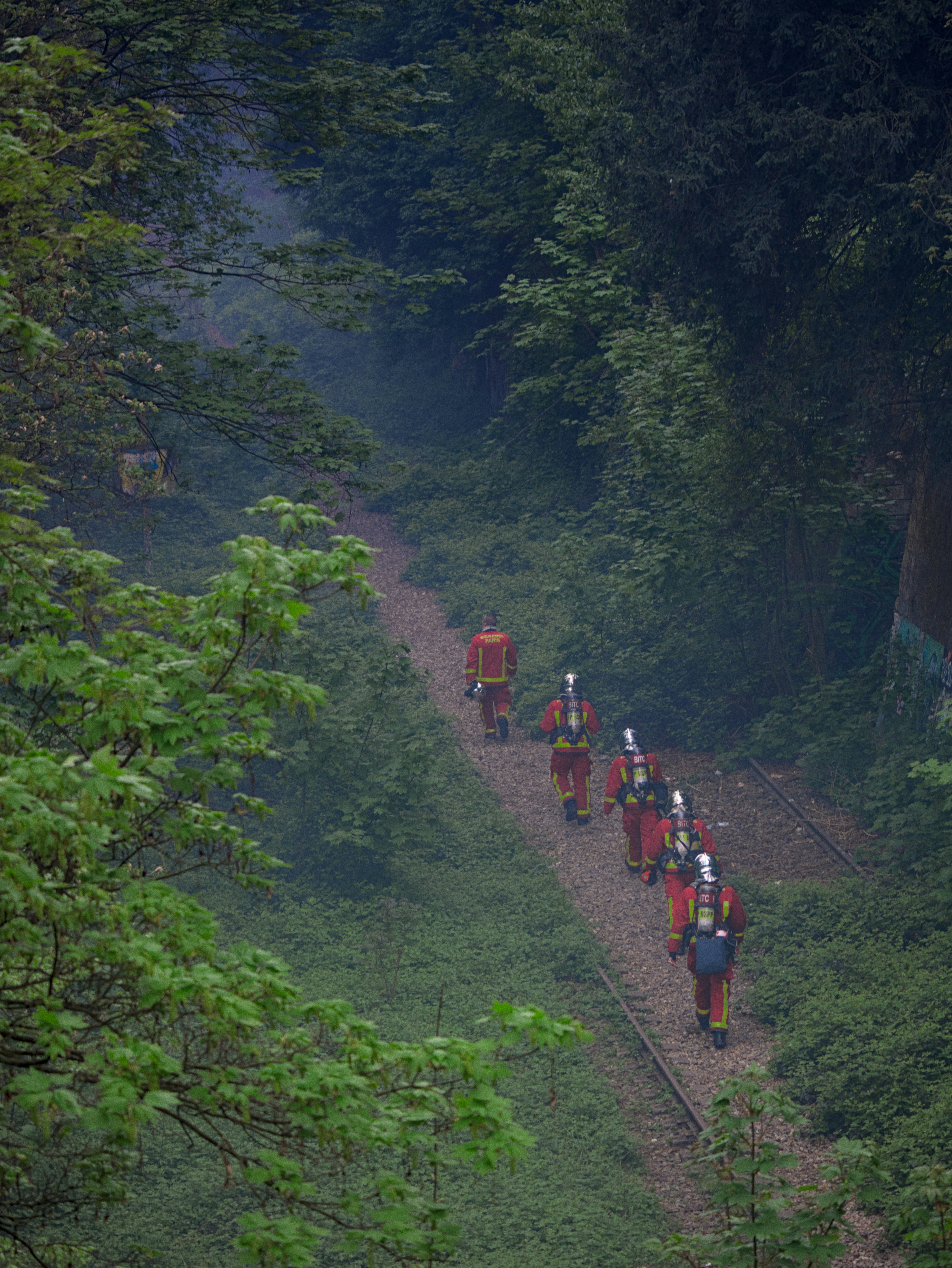 Marching Through the Green Mist: Firefighters on a Forest Rail