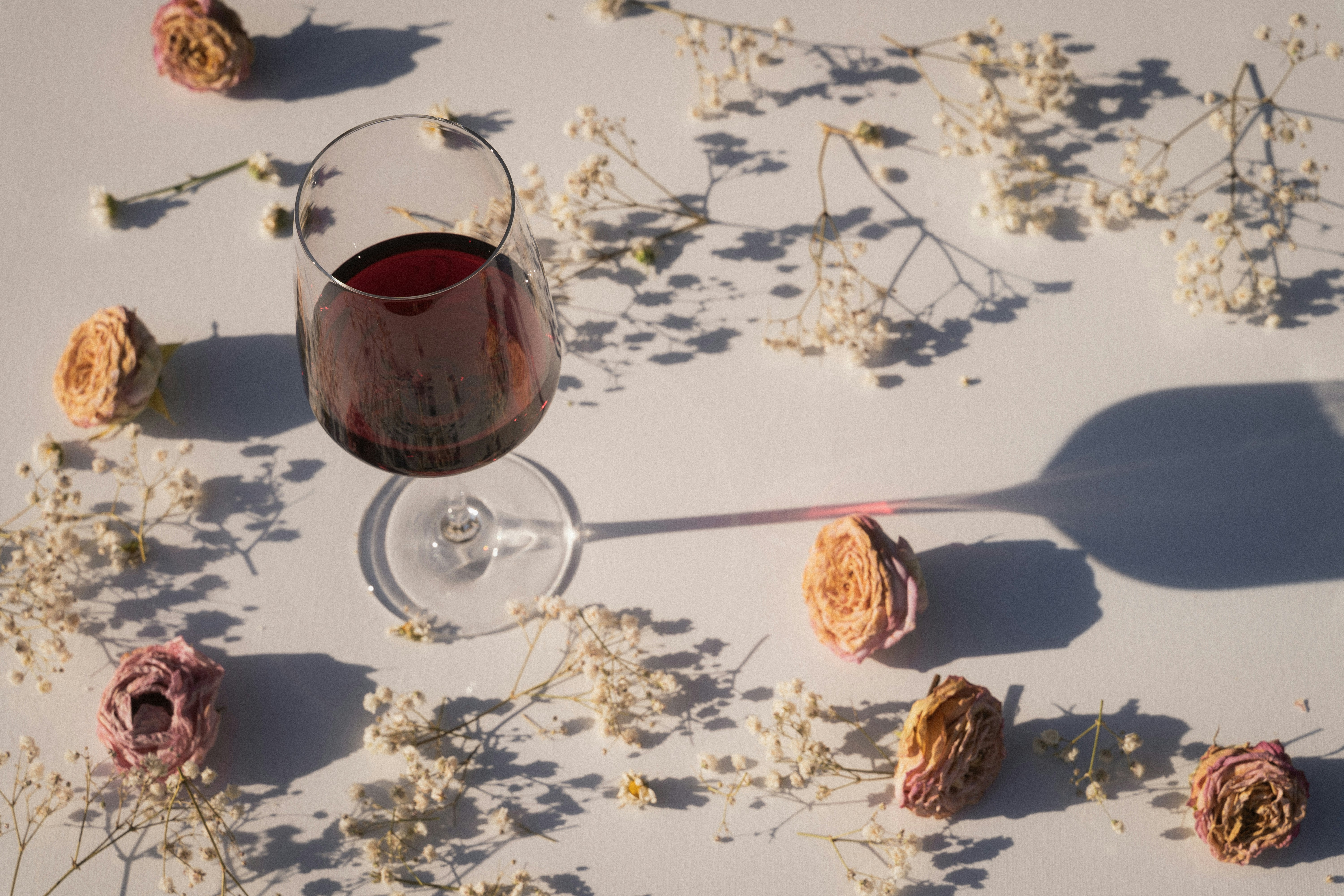 A Toast to Nature's Palette