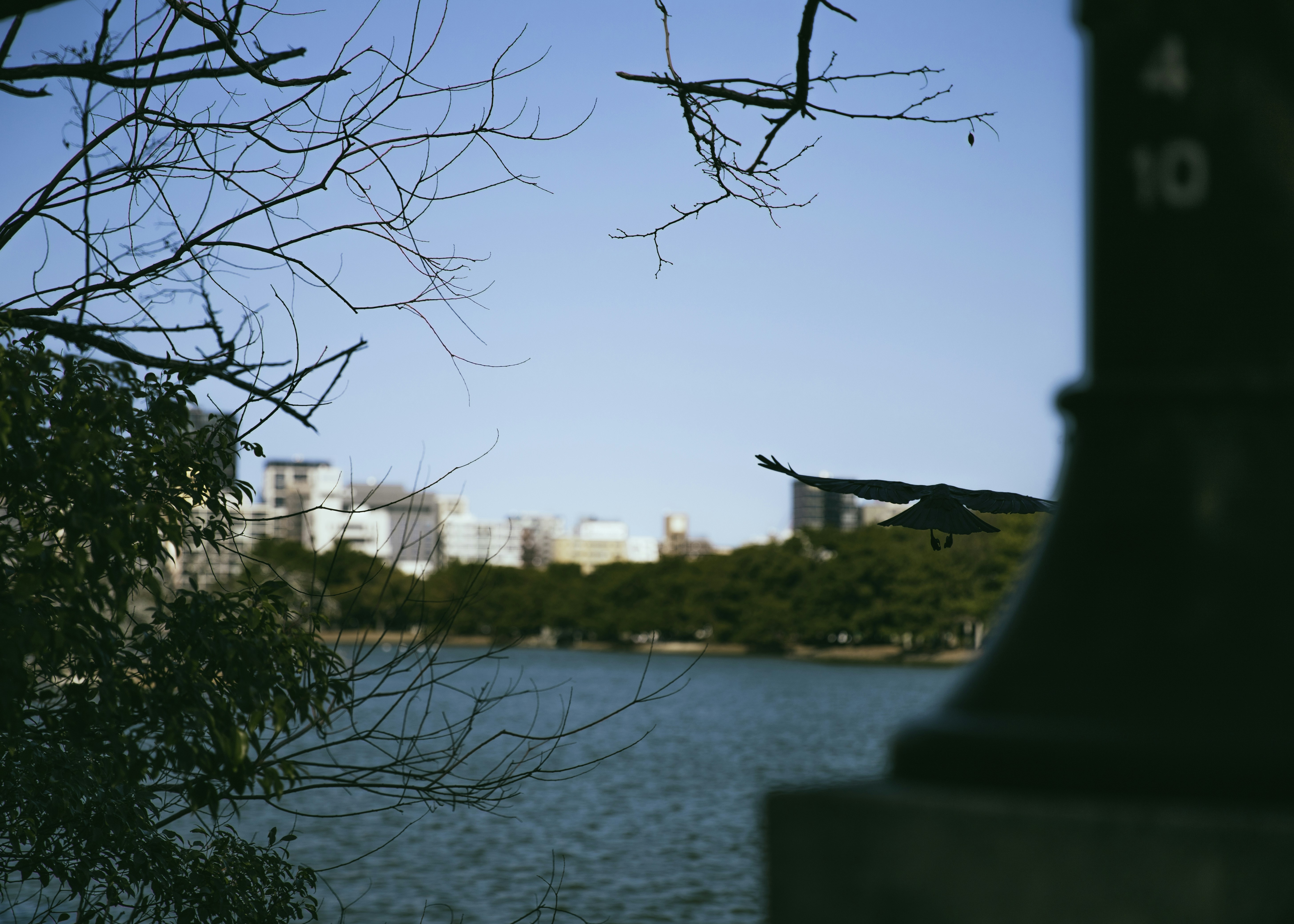 Photo by K.T. Francis with Canon EOS 6D Mark II