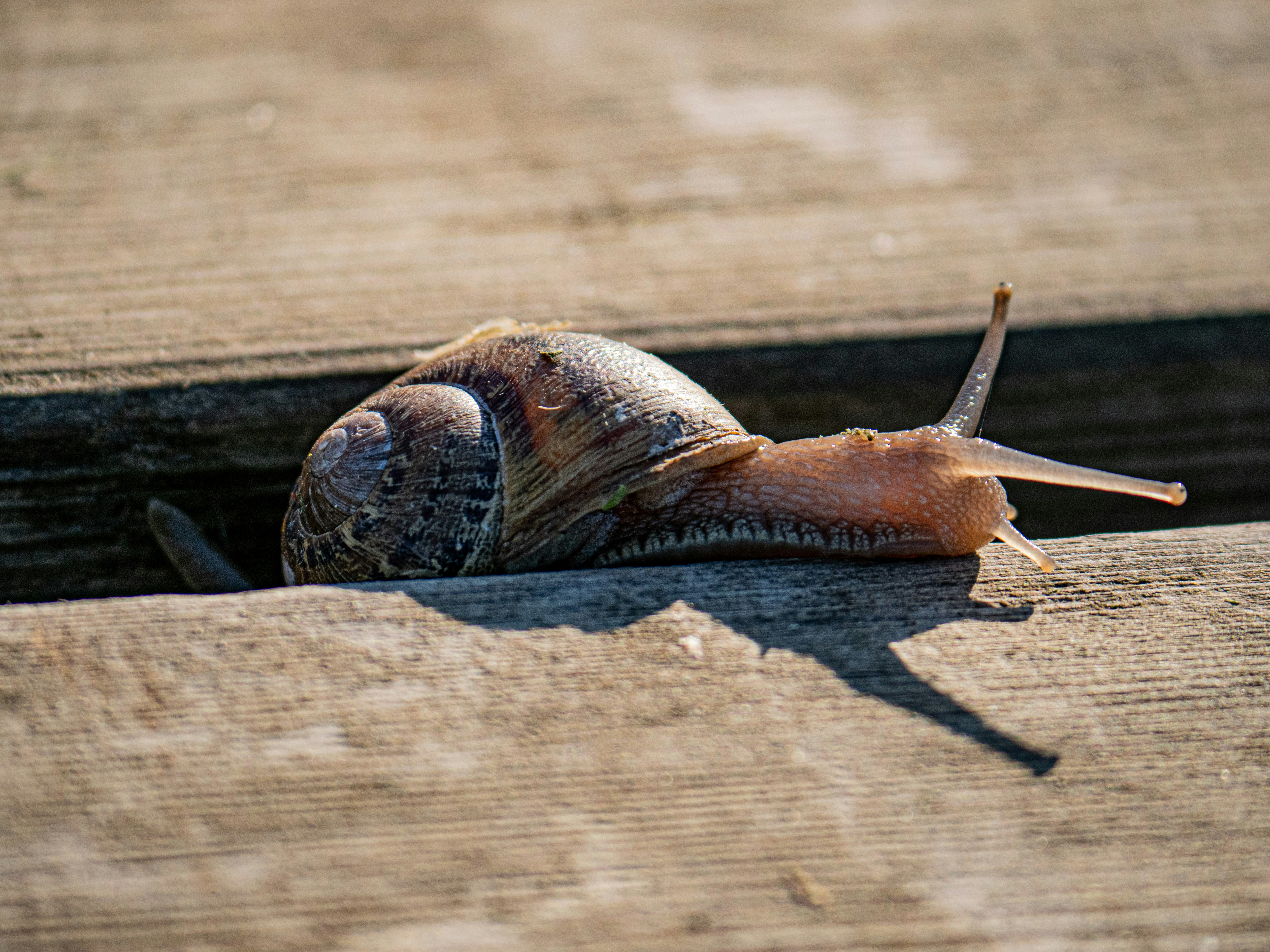 A Slow Journey Through Nature's Textures