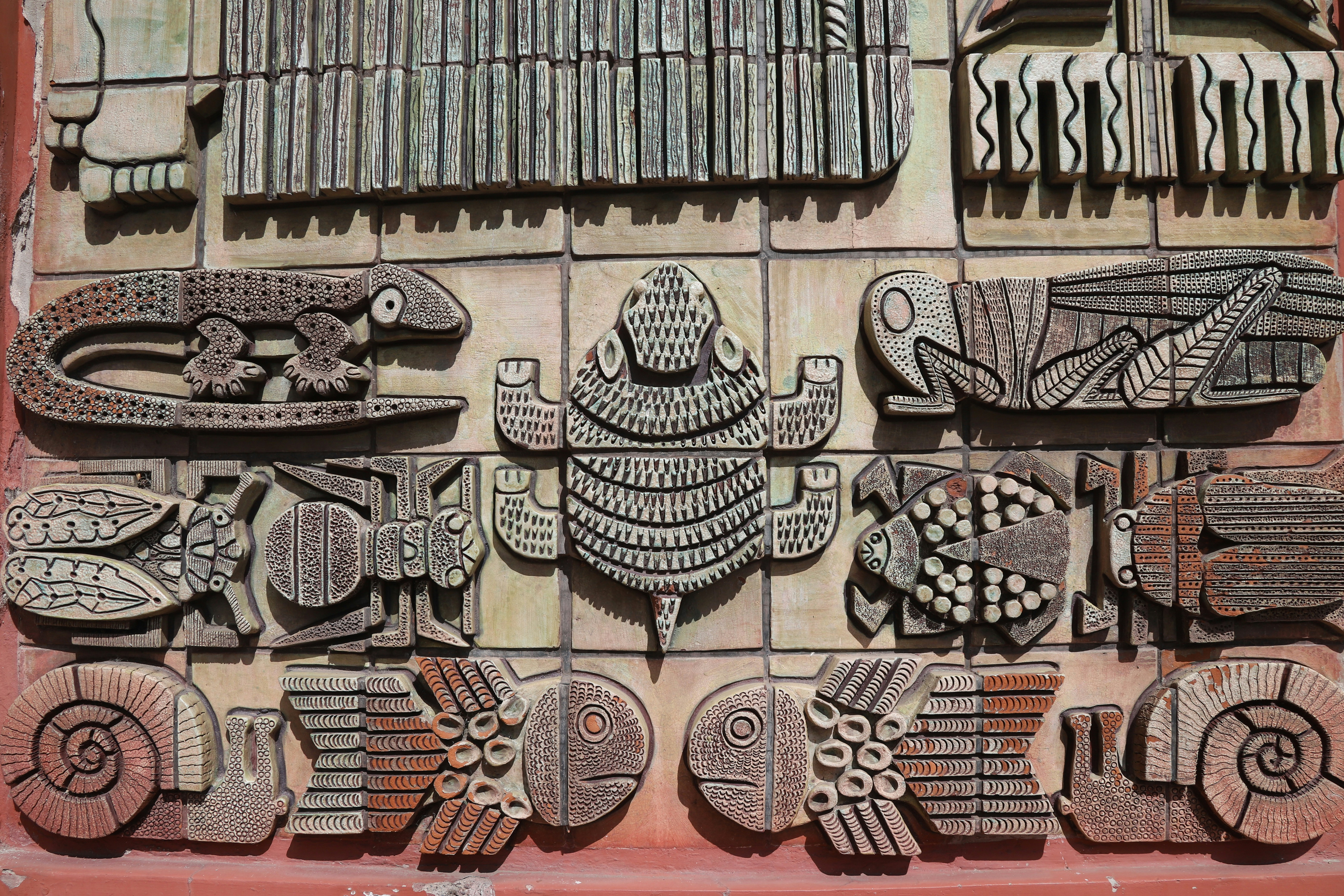 Photo by Natalia Bazyl with Canon EOS 6D Mark II