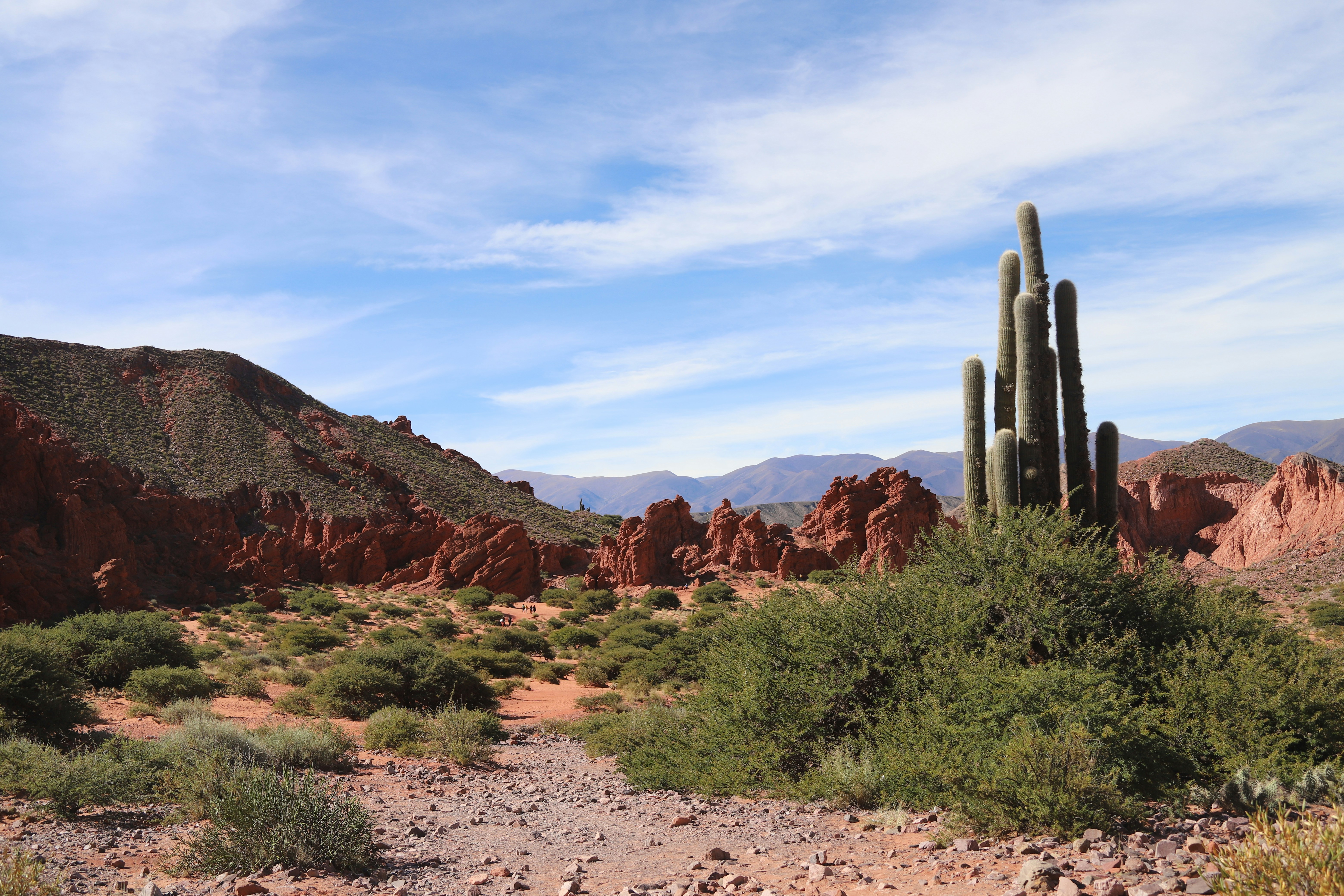 Saguaro Sentinel over Crimson Hills Under a Clear Desert Sky