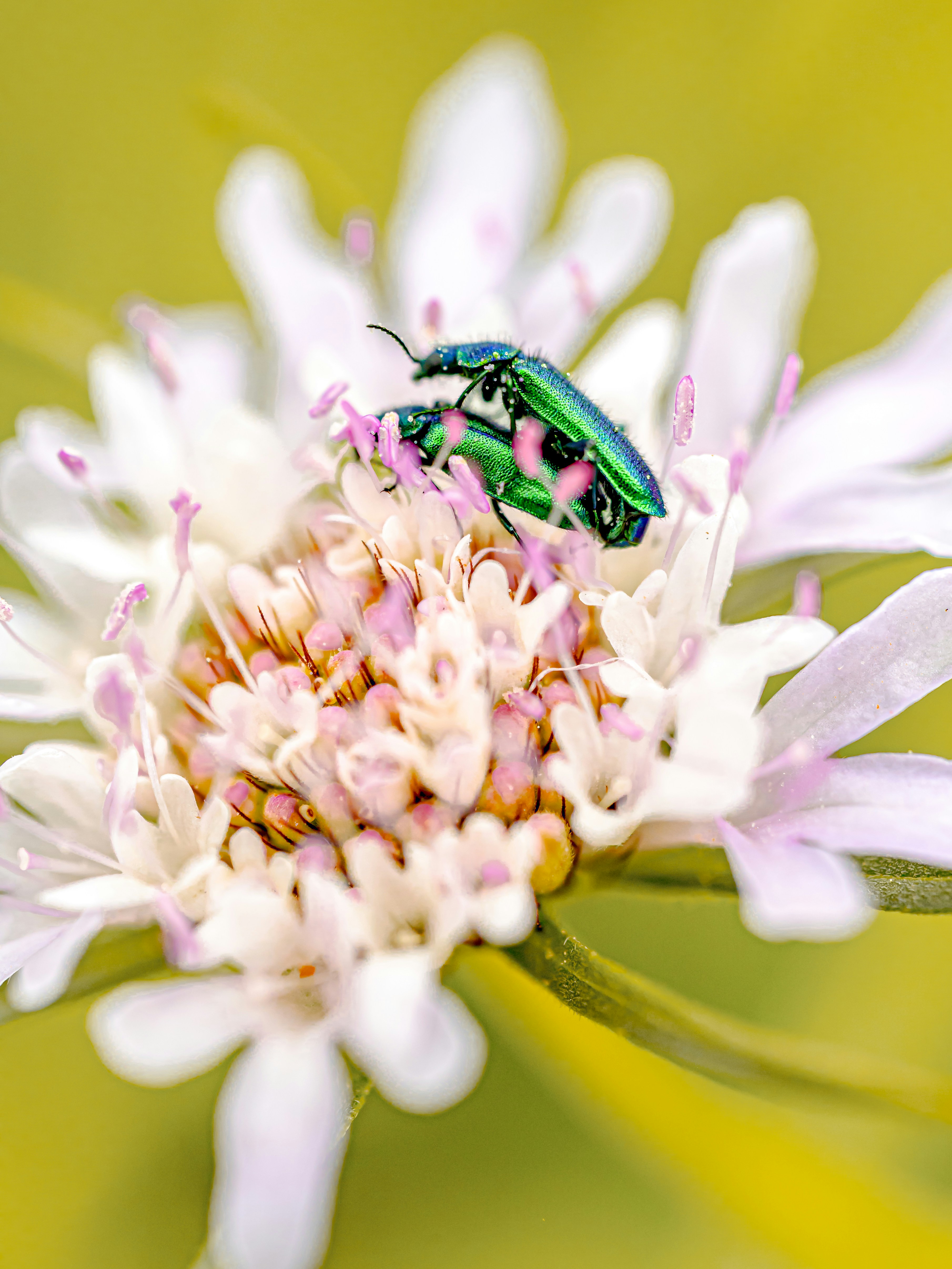 Philippe BONTEMPS (@philippeb) | Unsplash Photo Community