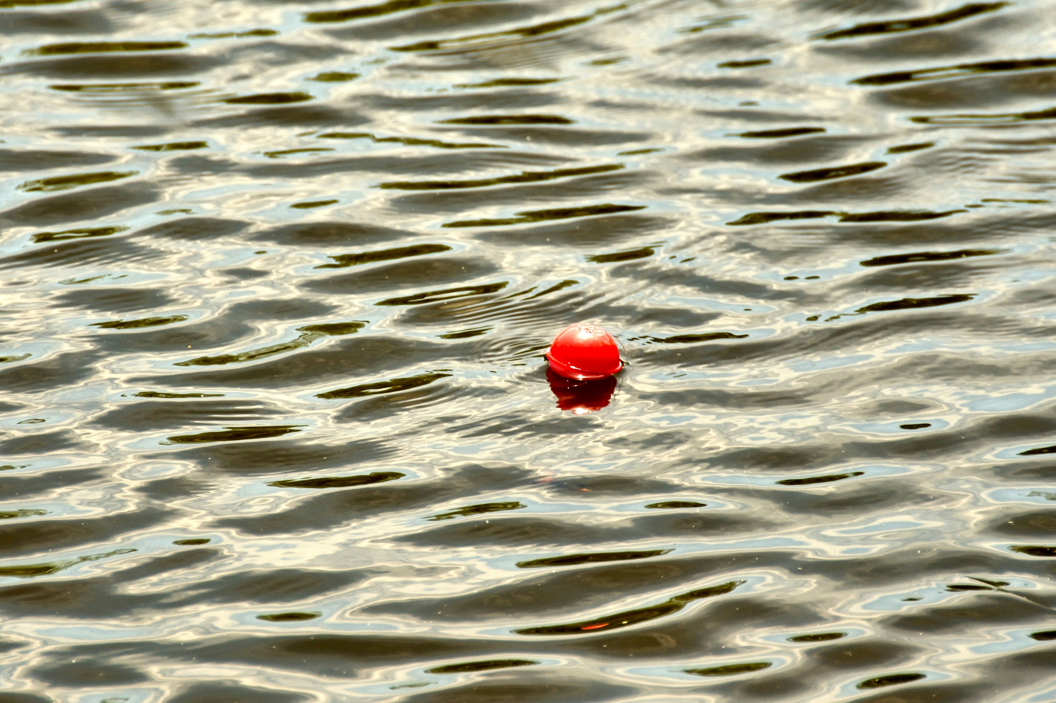 A red buoy floats serenely on the surface of a shimmering water body, reflecting light and creating gentle ripples around it.