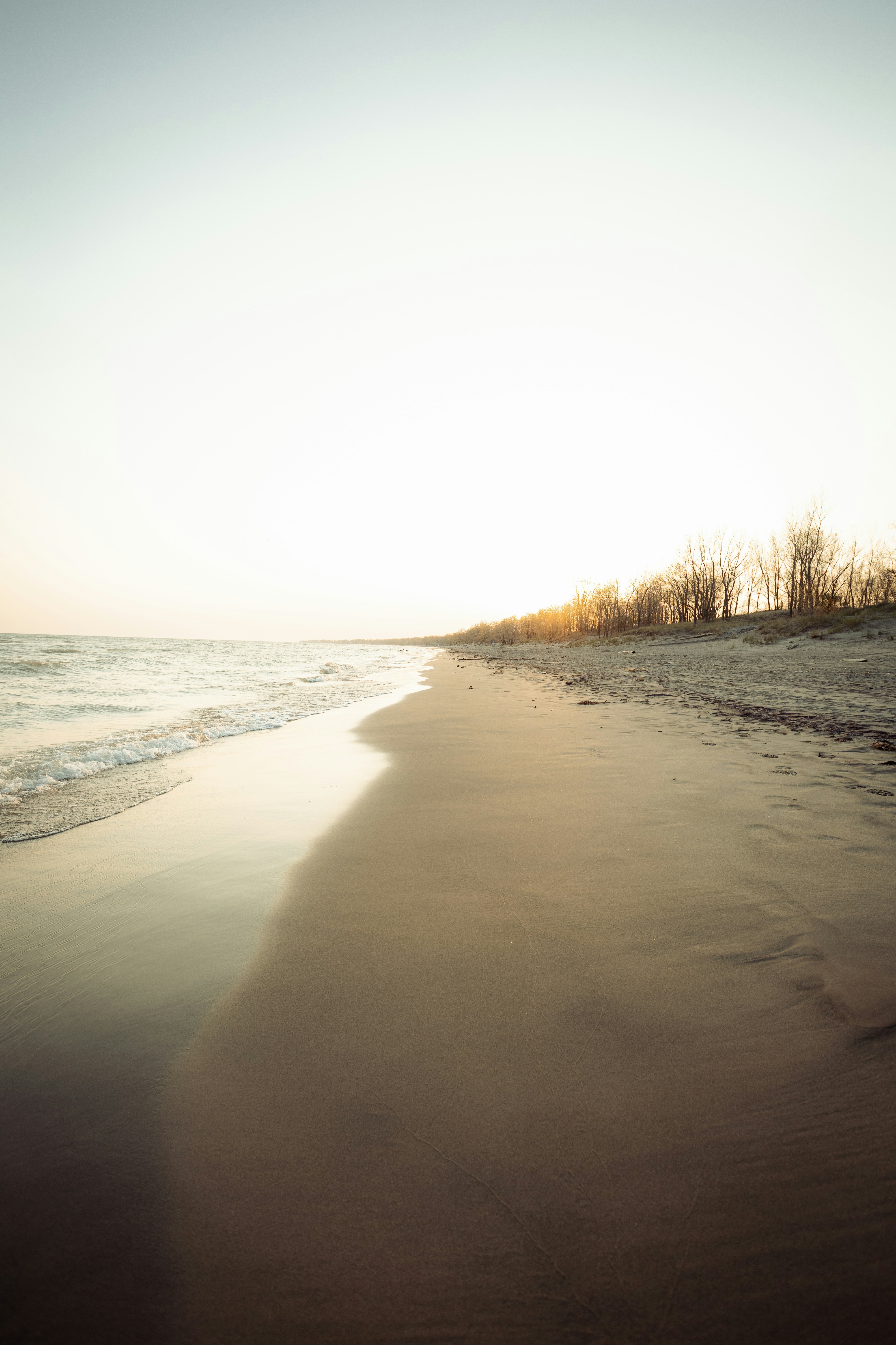 Dawn on the Quiet Shore: Sunlight, Sand, and Distant Trees