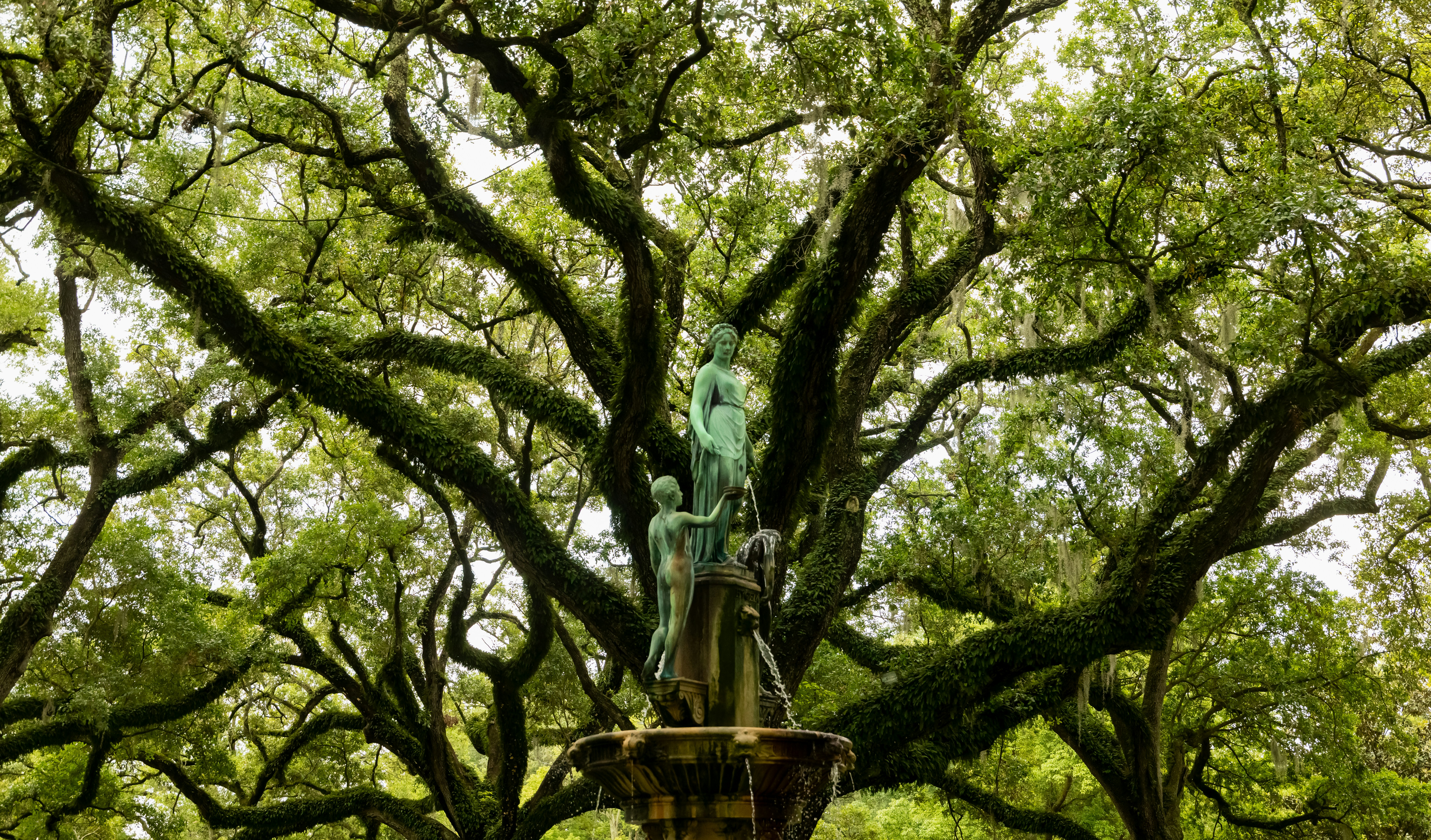 Photo by Hao Chen with Canon EOS R5