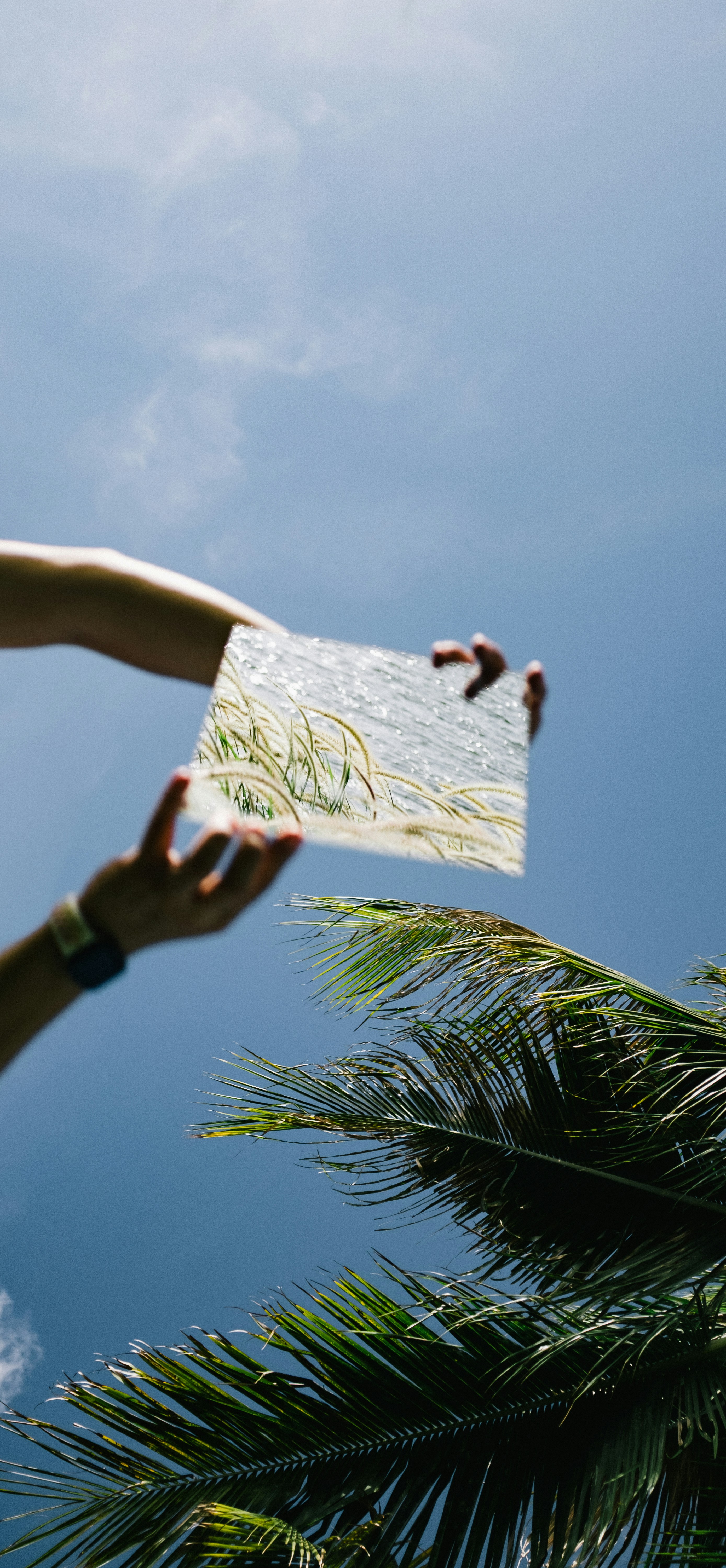 Mirror in the Sky: Hands Tease a Leaf-Patterned Tile Towards the Sun