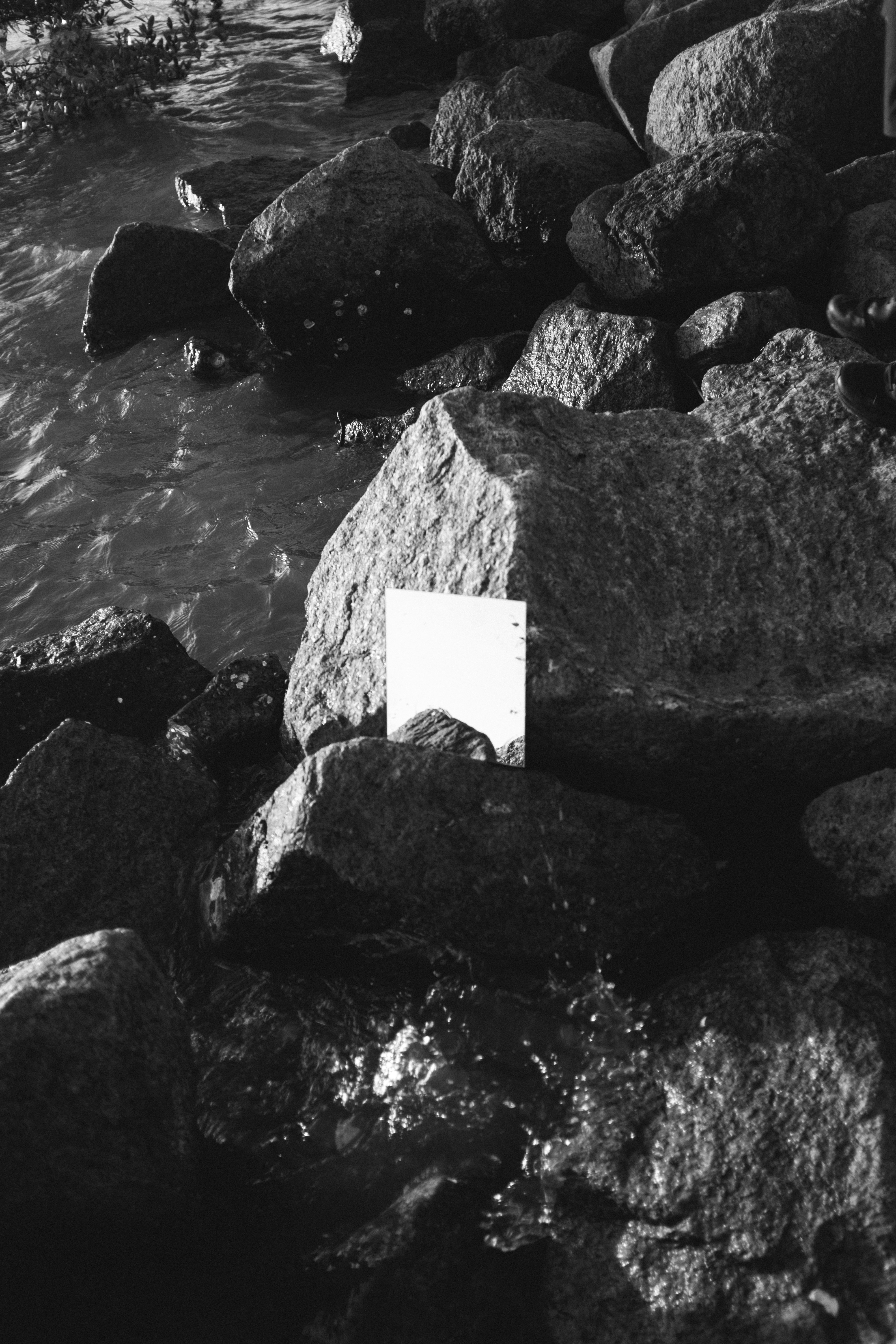 Flat Rock Mirror: A White Card Amid Quiet Tides