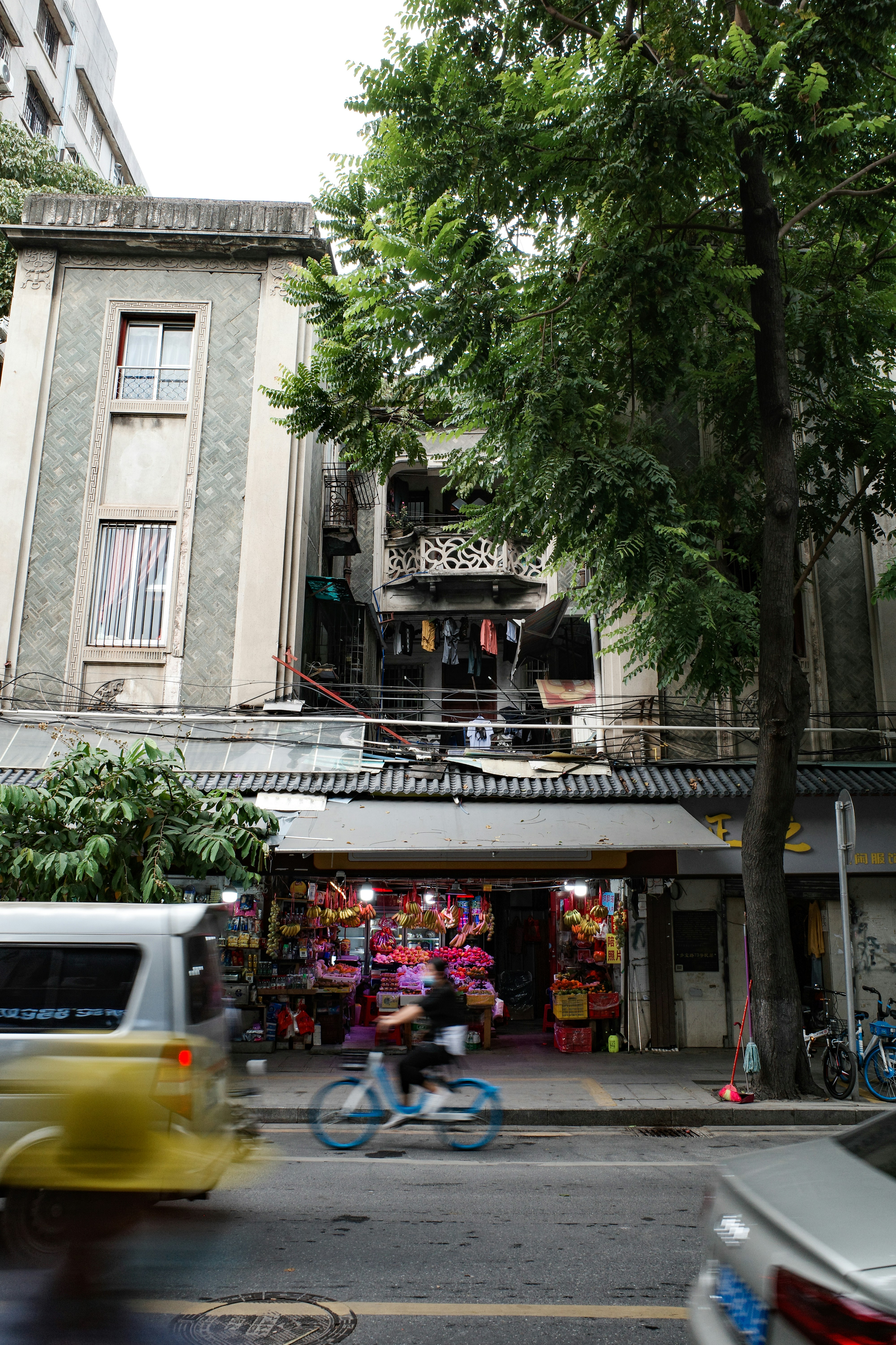 Street Bazaar Beneath Tall Trees