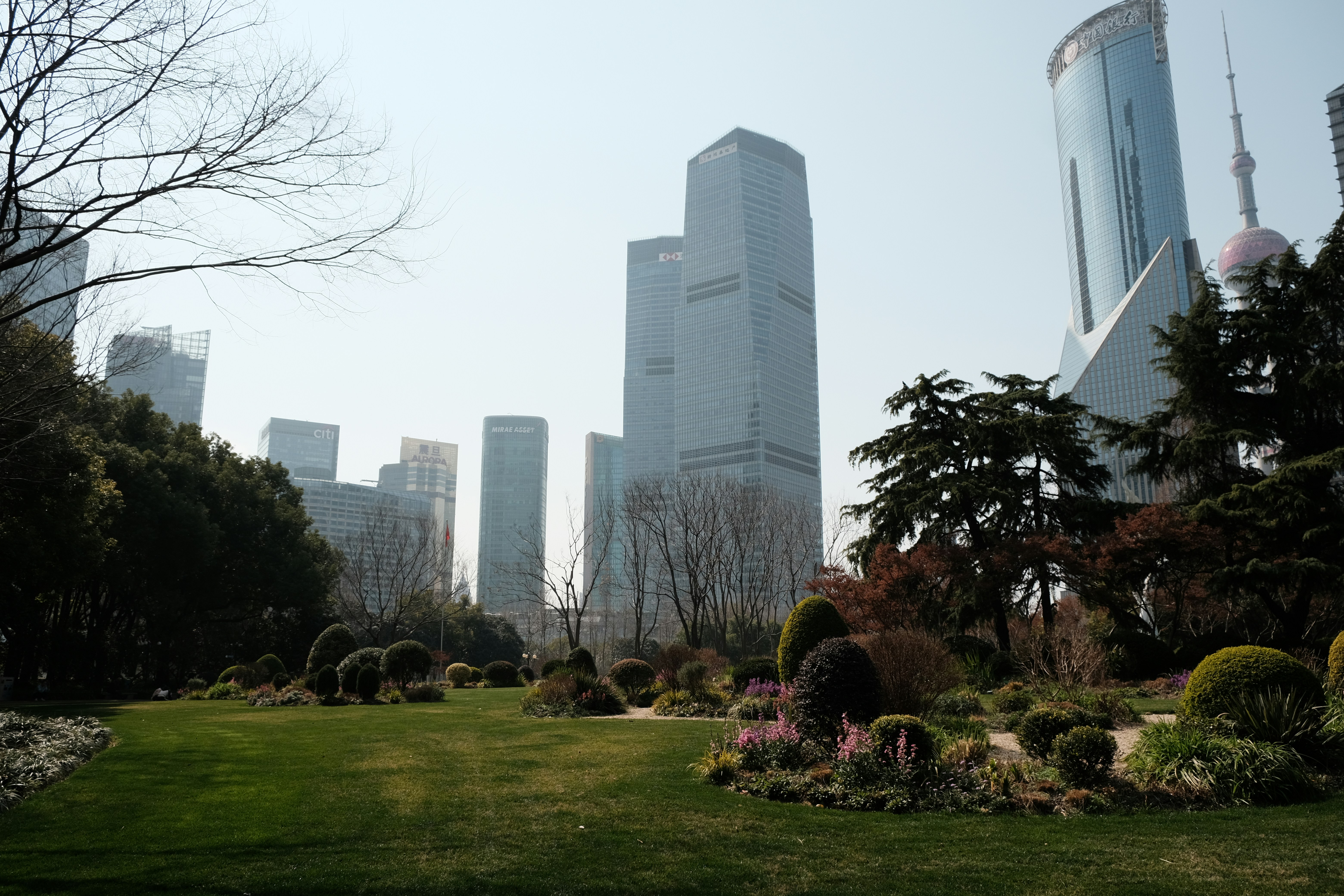 Urban Oasis: Greenery Framed by a Glass Skyline