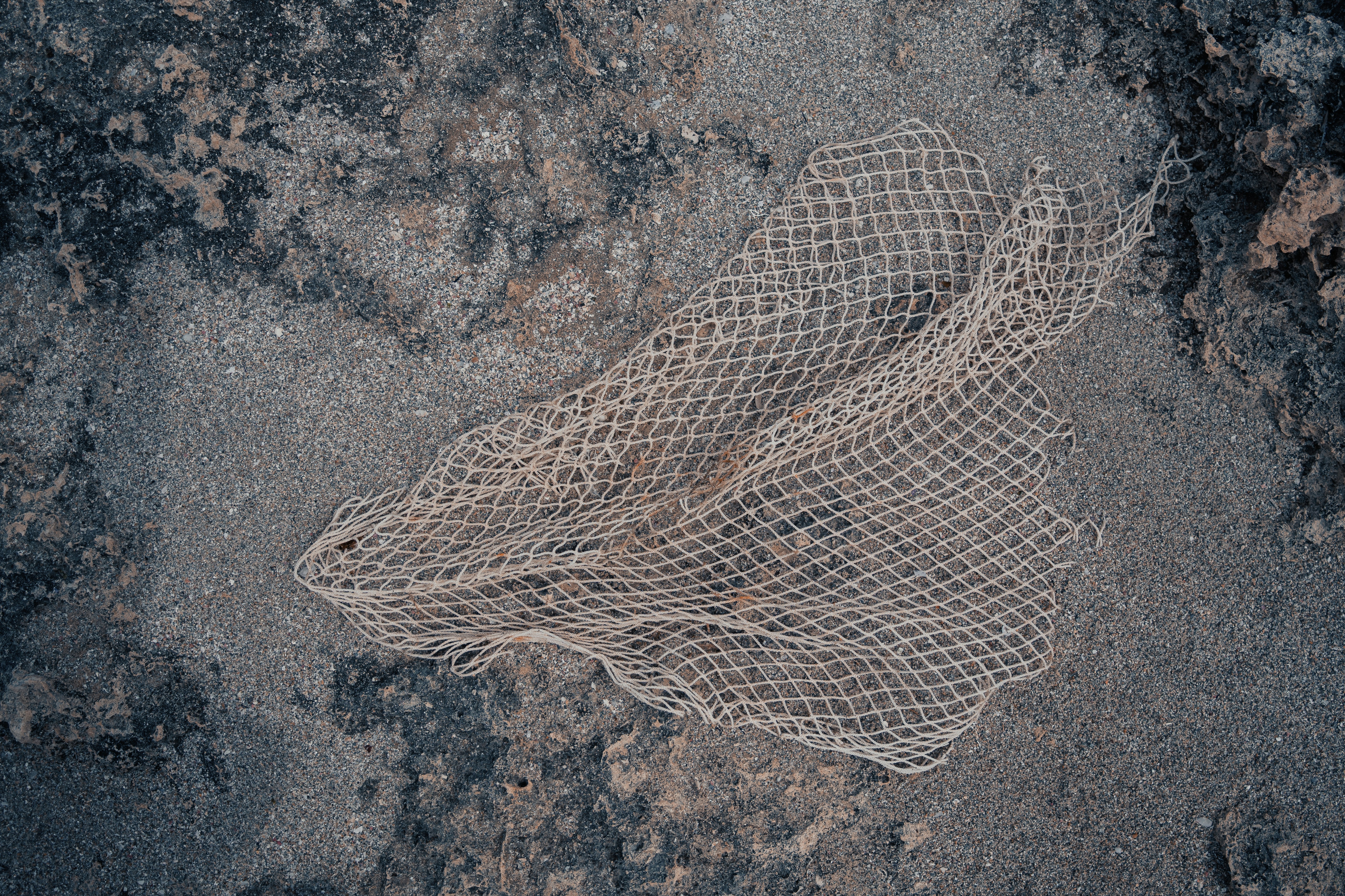 Frayed Mesh on Weathered Pavement: A Quiet Study in Texture
