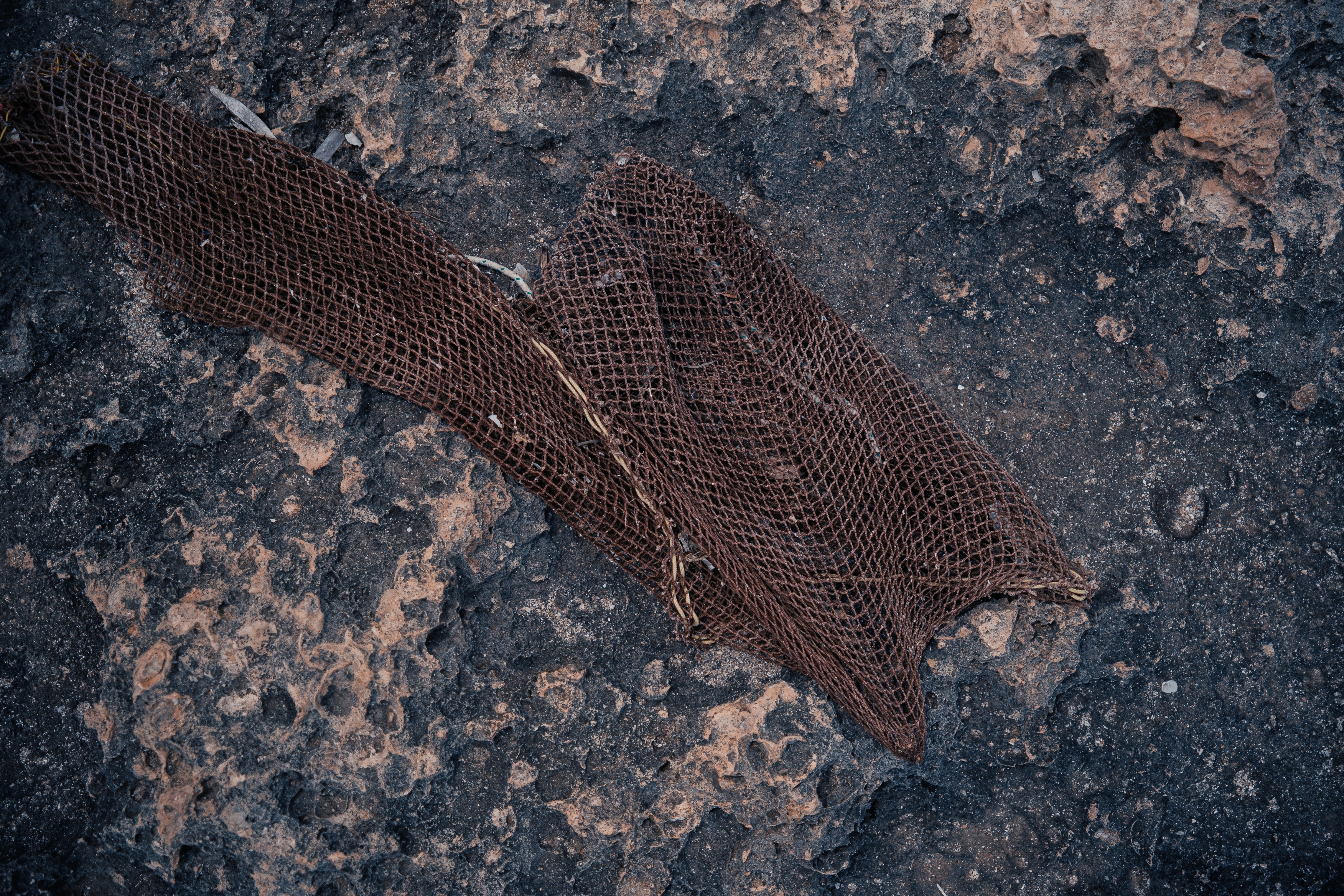 Photo by Bartłomiej Balicki with Sony Alpha 6700