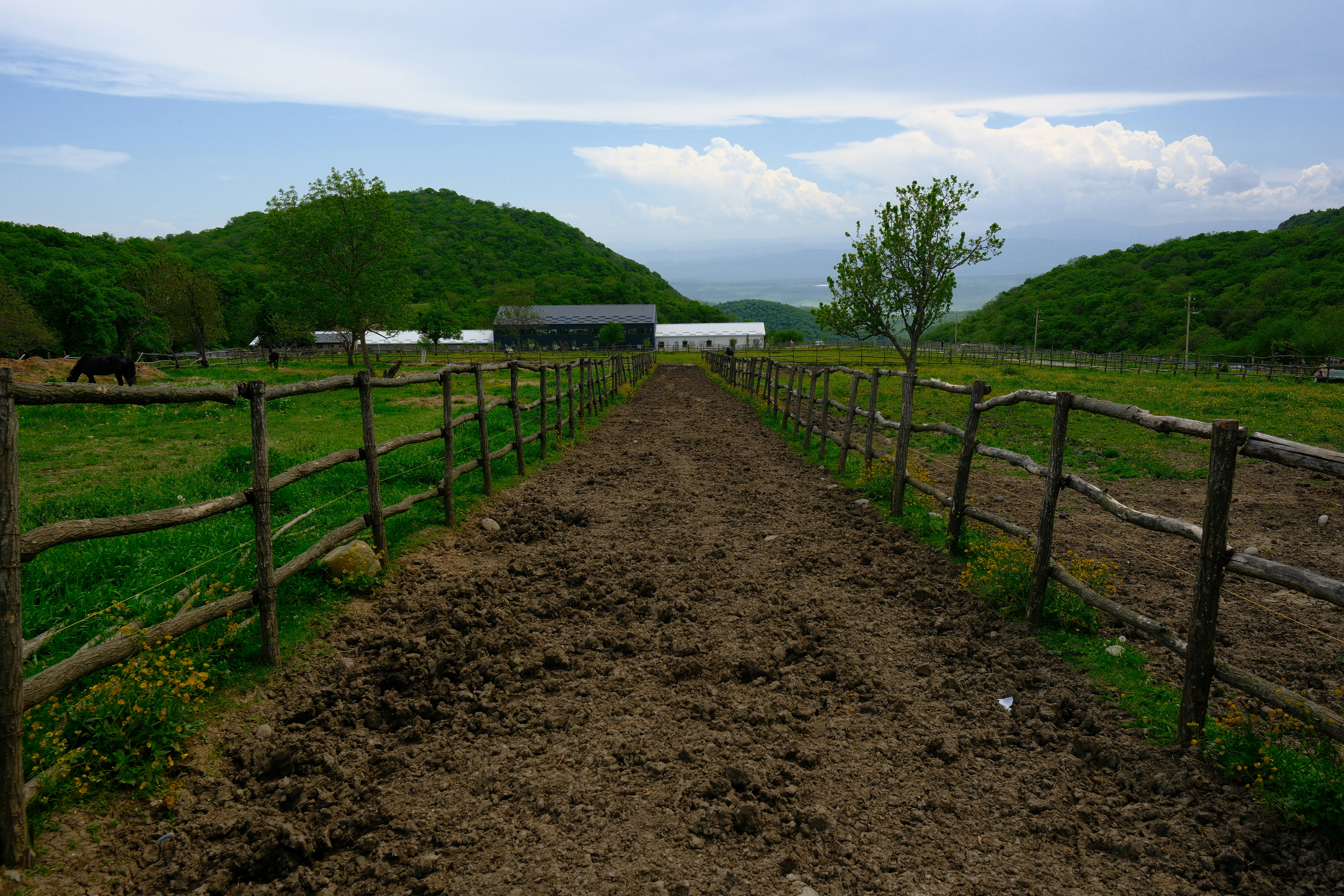 A dirt path leads to the farm, flanked by fences. photo – Free ...