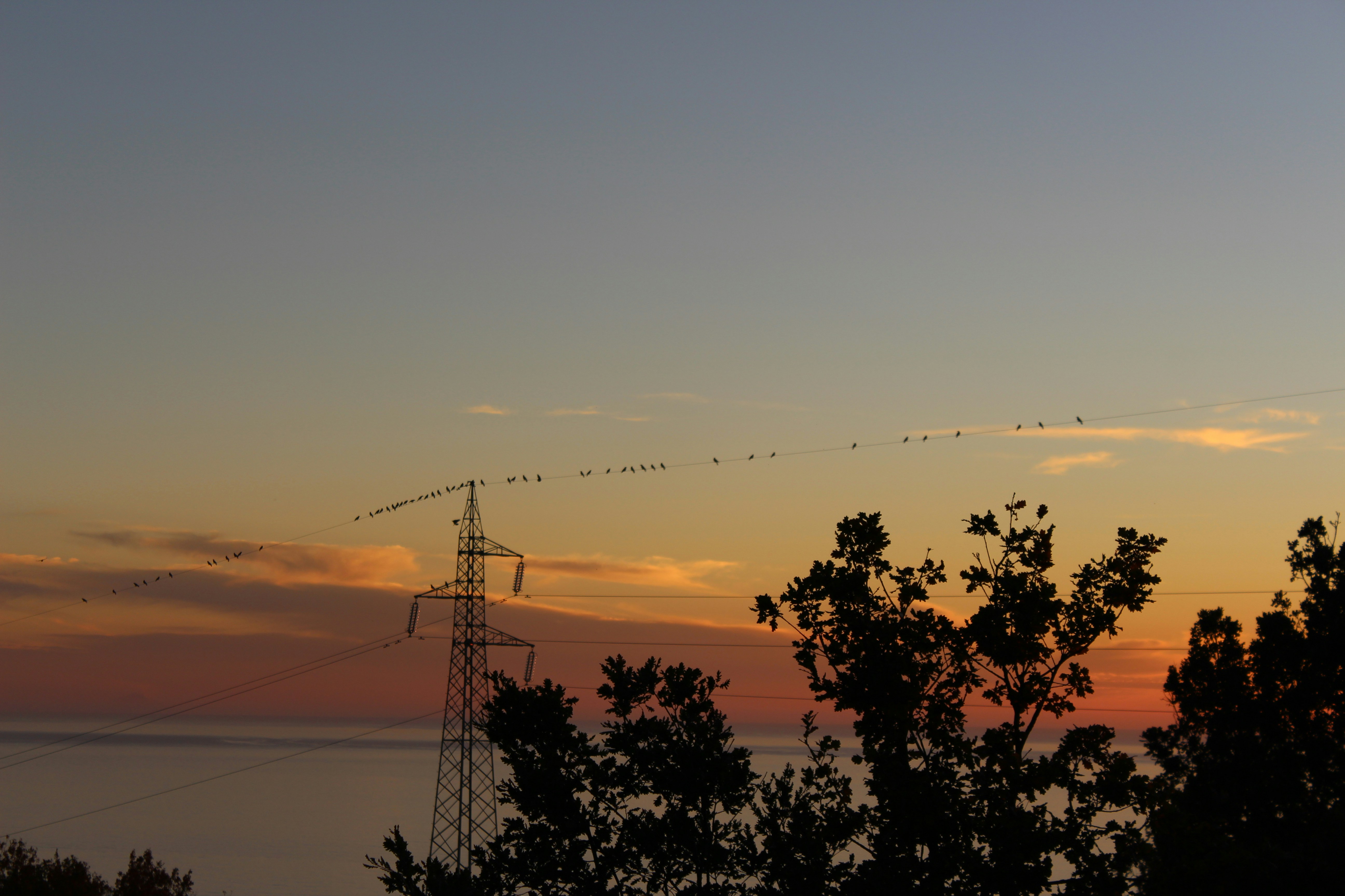 Dusk on the Lattice: Transmission Tower Framed by Silhouetted Trees