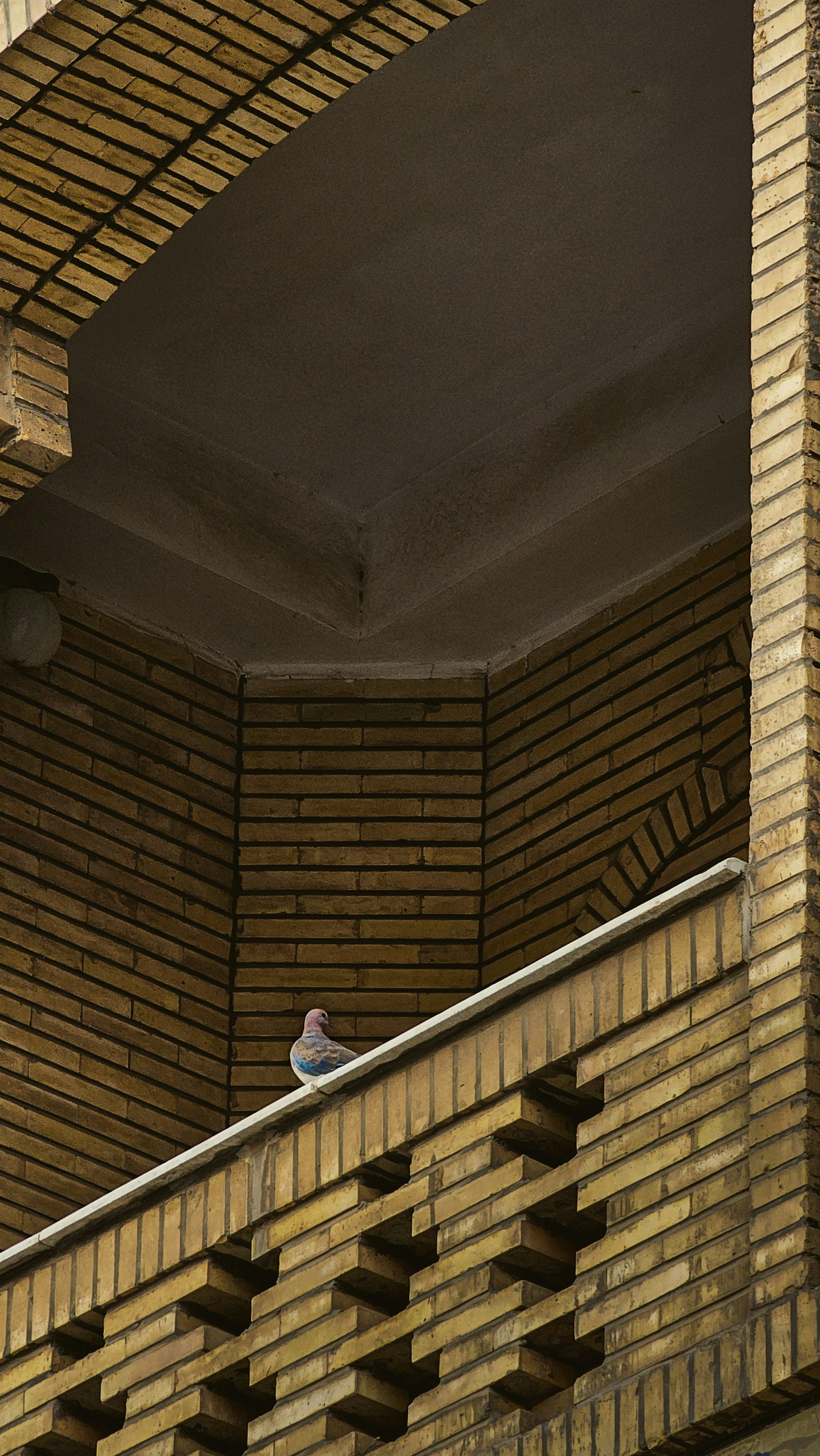 Pigeon on Sunlit Brick Balcony Amid Angular Arches