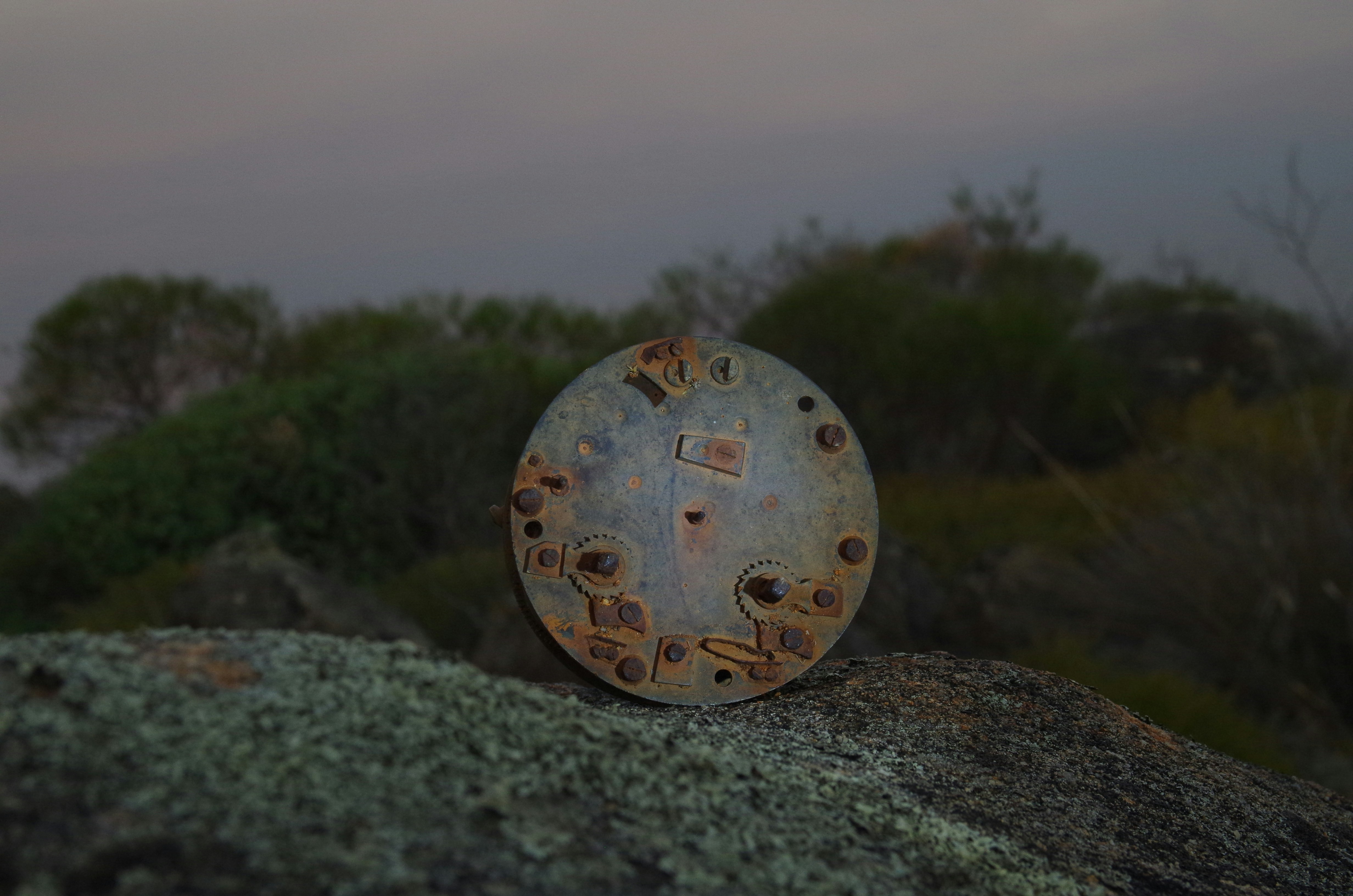 Rusted Circular Plate on a Mossy Rock Beneath Quiet Dusk