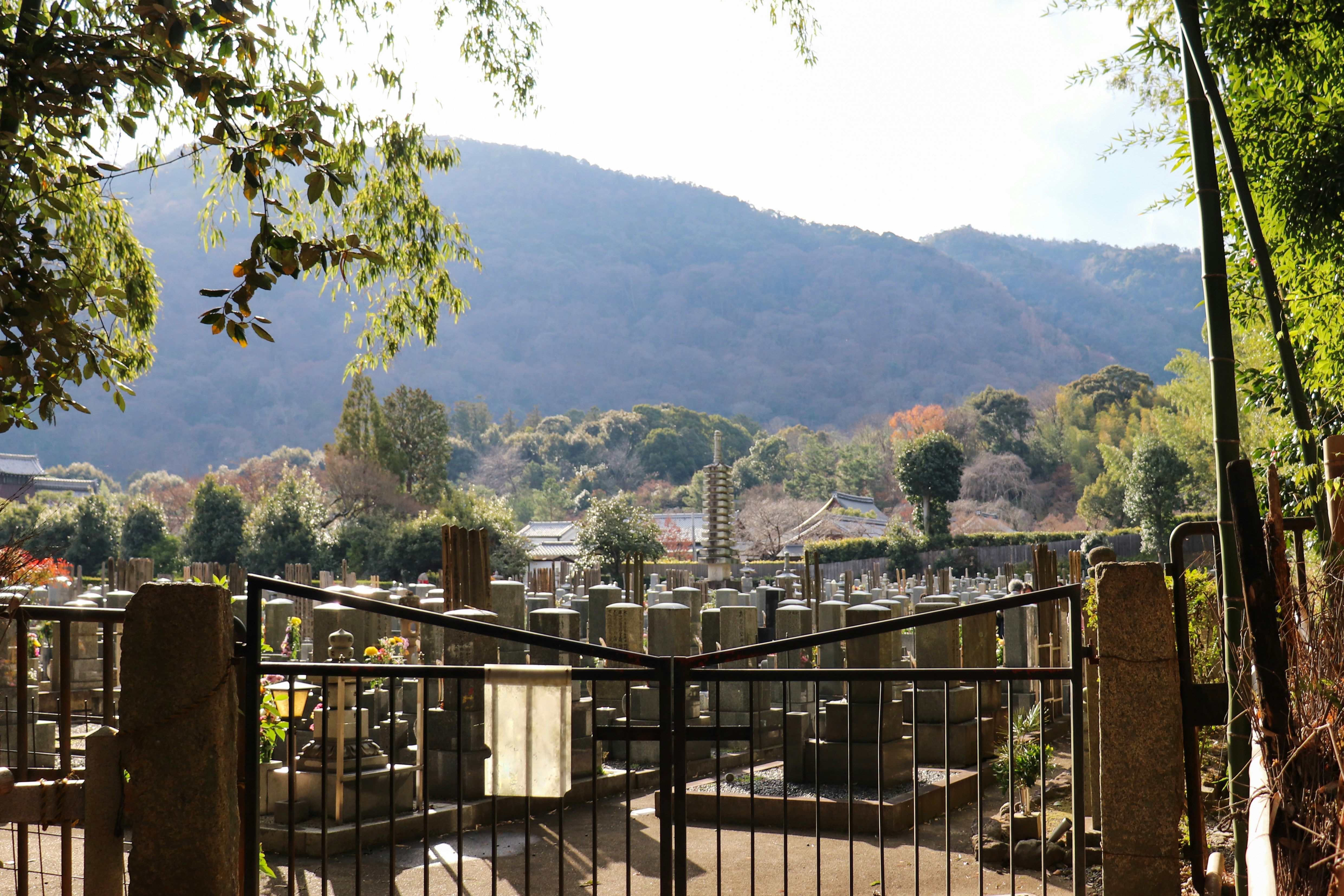 Gate to the Quiet Hills: Cemetery Framed by Mountain Backdrop