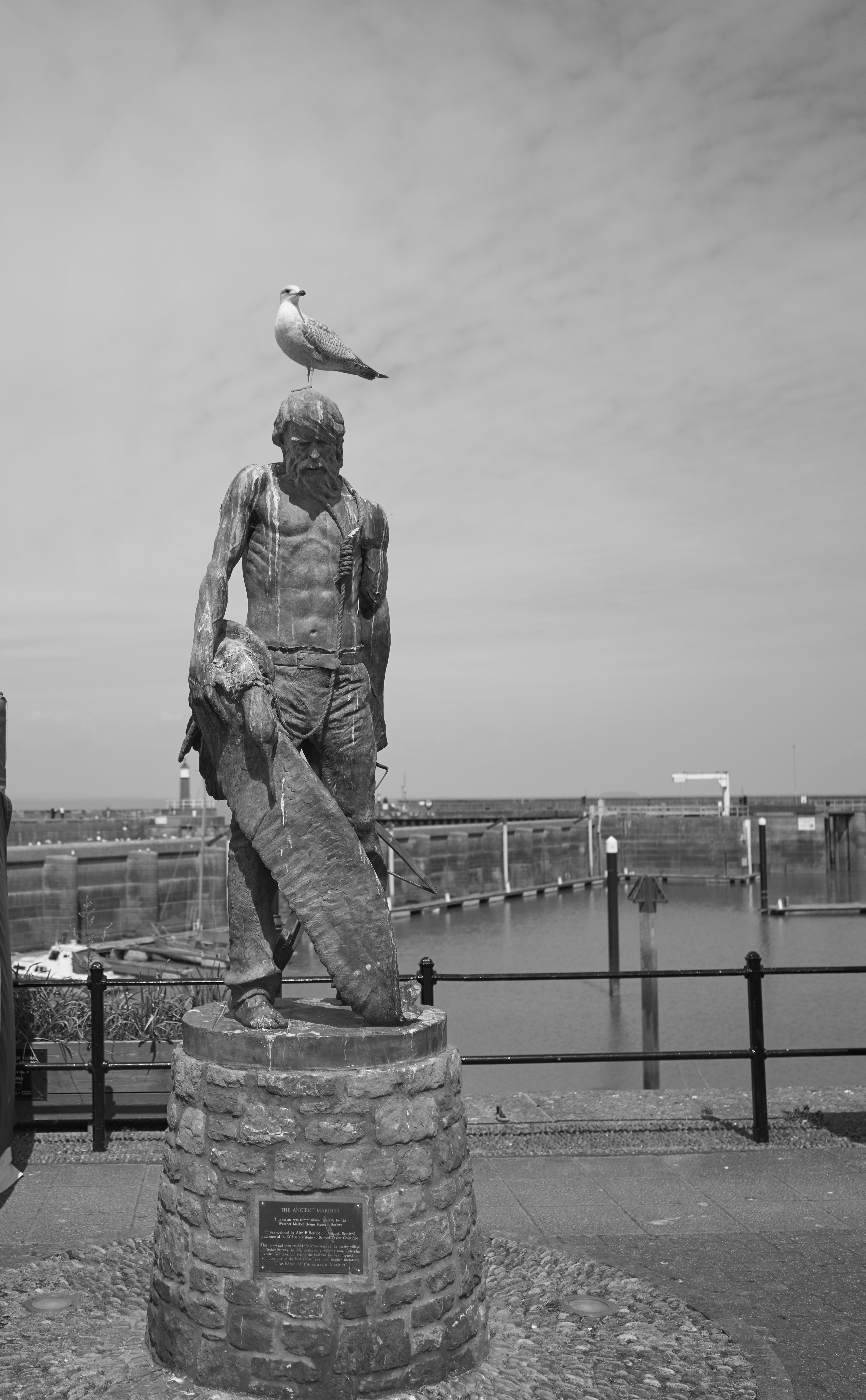 Seagull Sentinel: A Seated Statue Reclaimed by the Tide