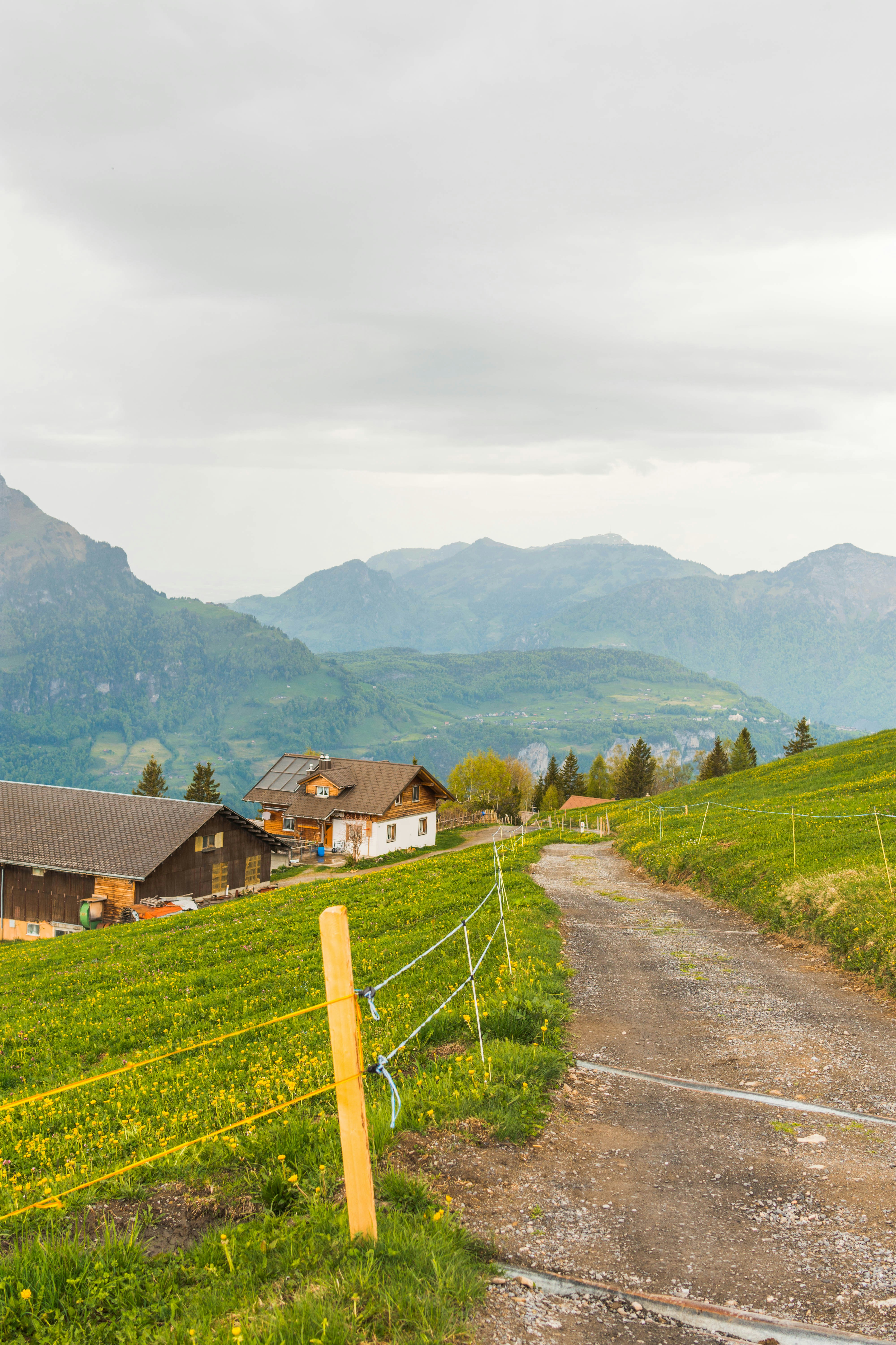 Meadow Path to Alpine Dwellings Beneath Grey Skies