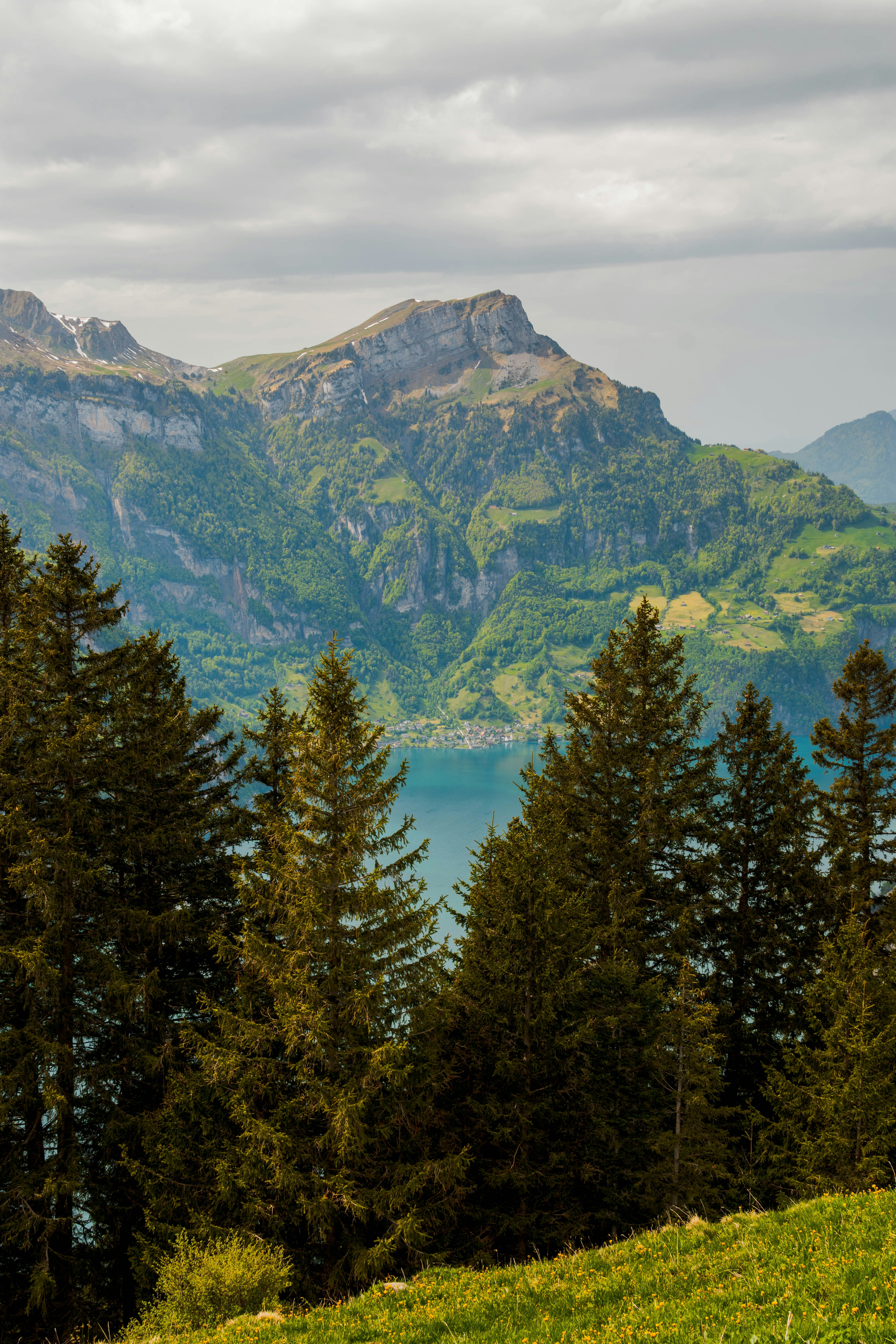 Verdant Peaks Framing a Quiet Alpine Lake