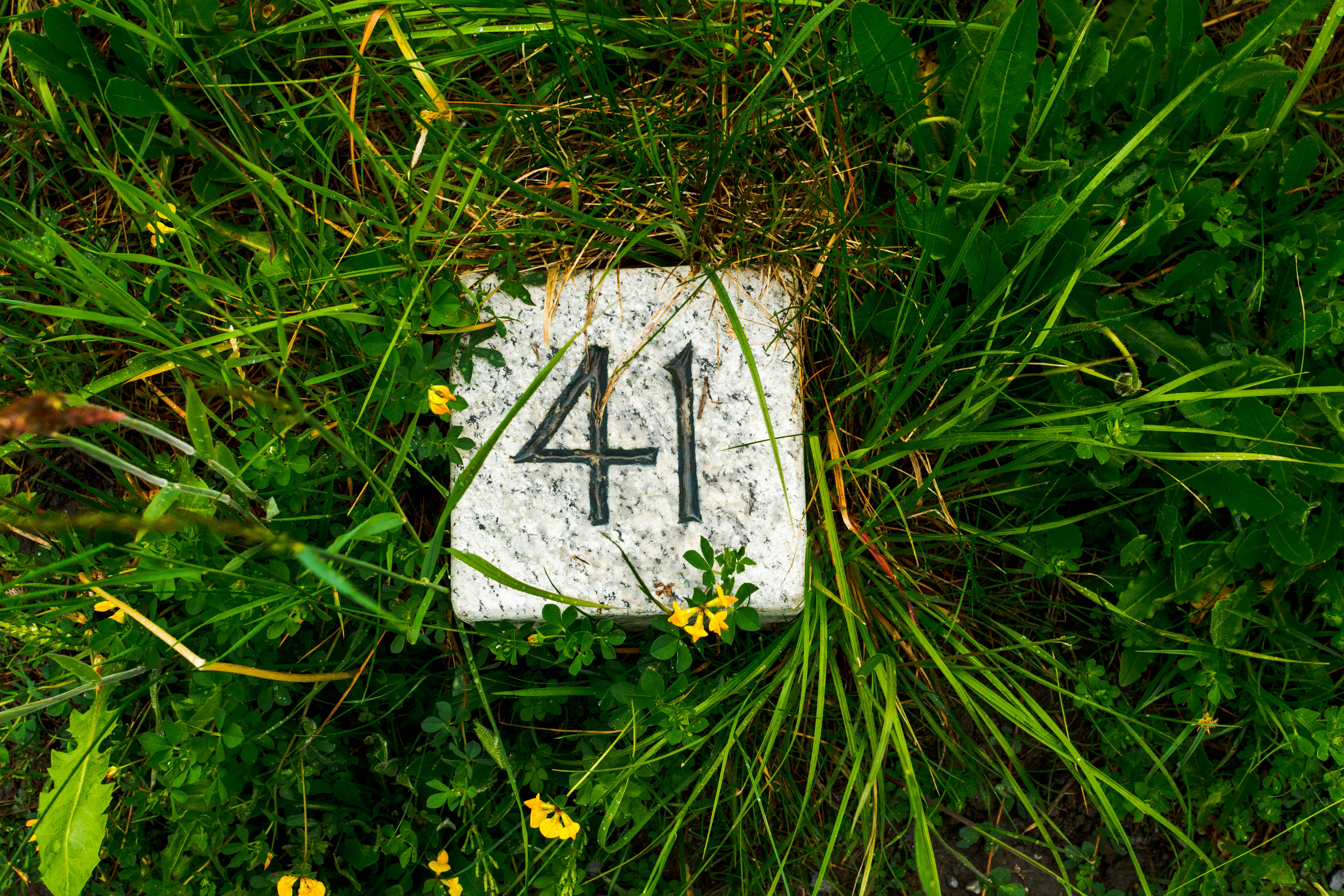 Milepost - by Drew Faraday - Drew's View