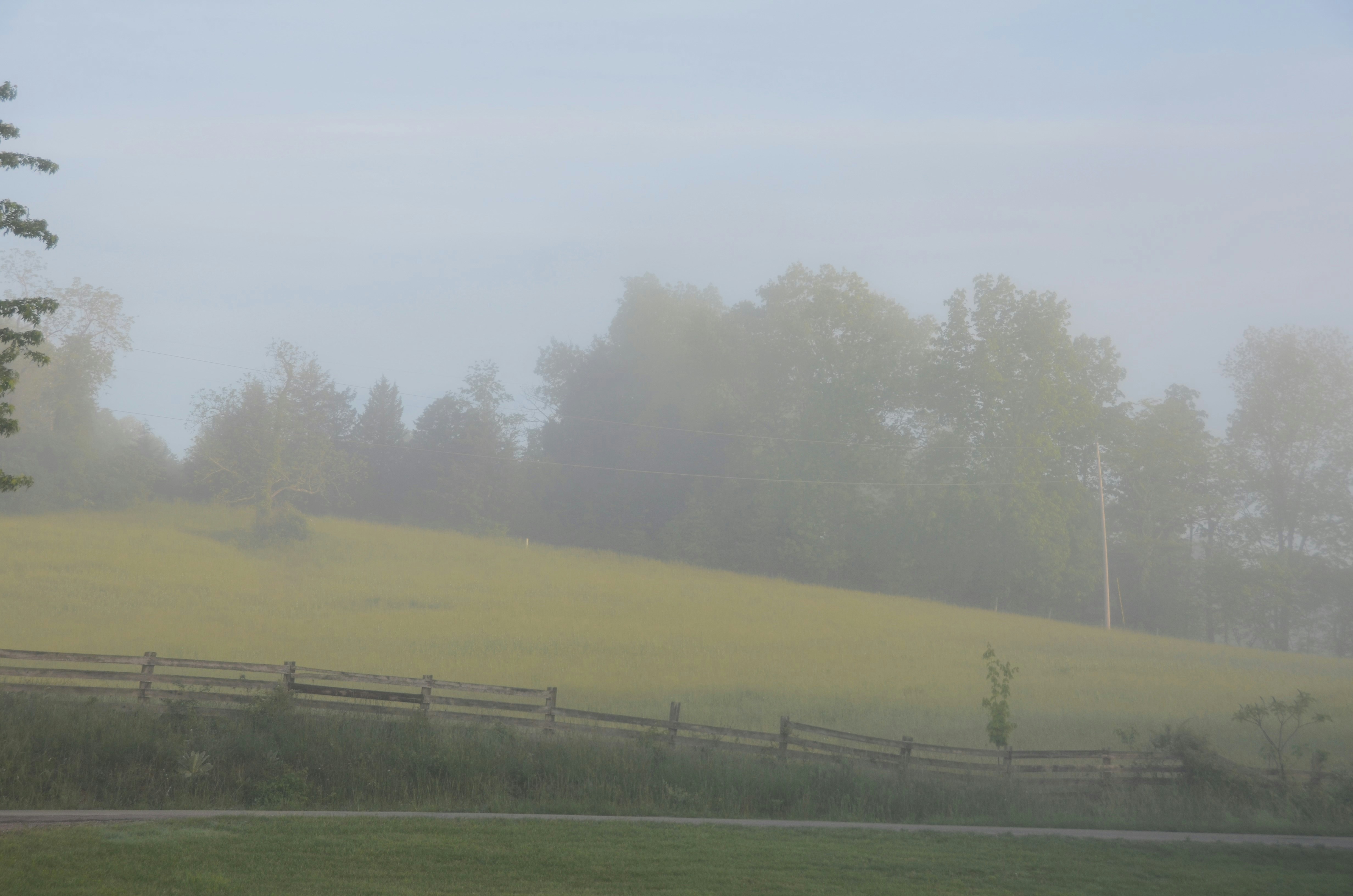 Mist-Layered Meadow: Fence Lines under Morning Fog