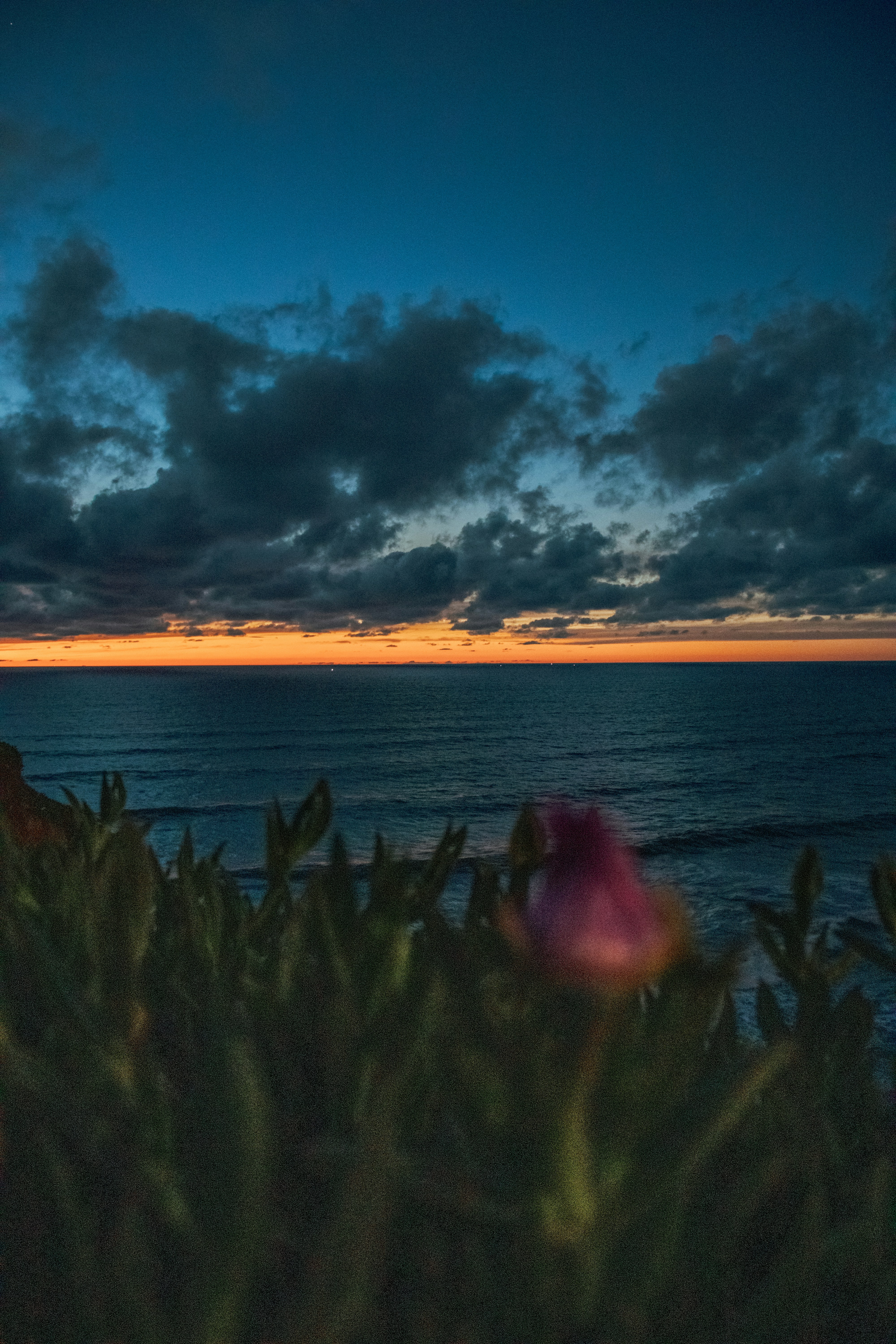 Blue Hour Horizon: Sunset Over the Ocean with a Blurred Foreground Bloom