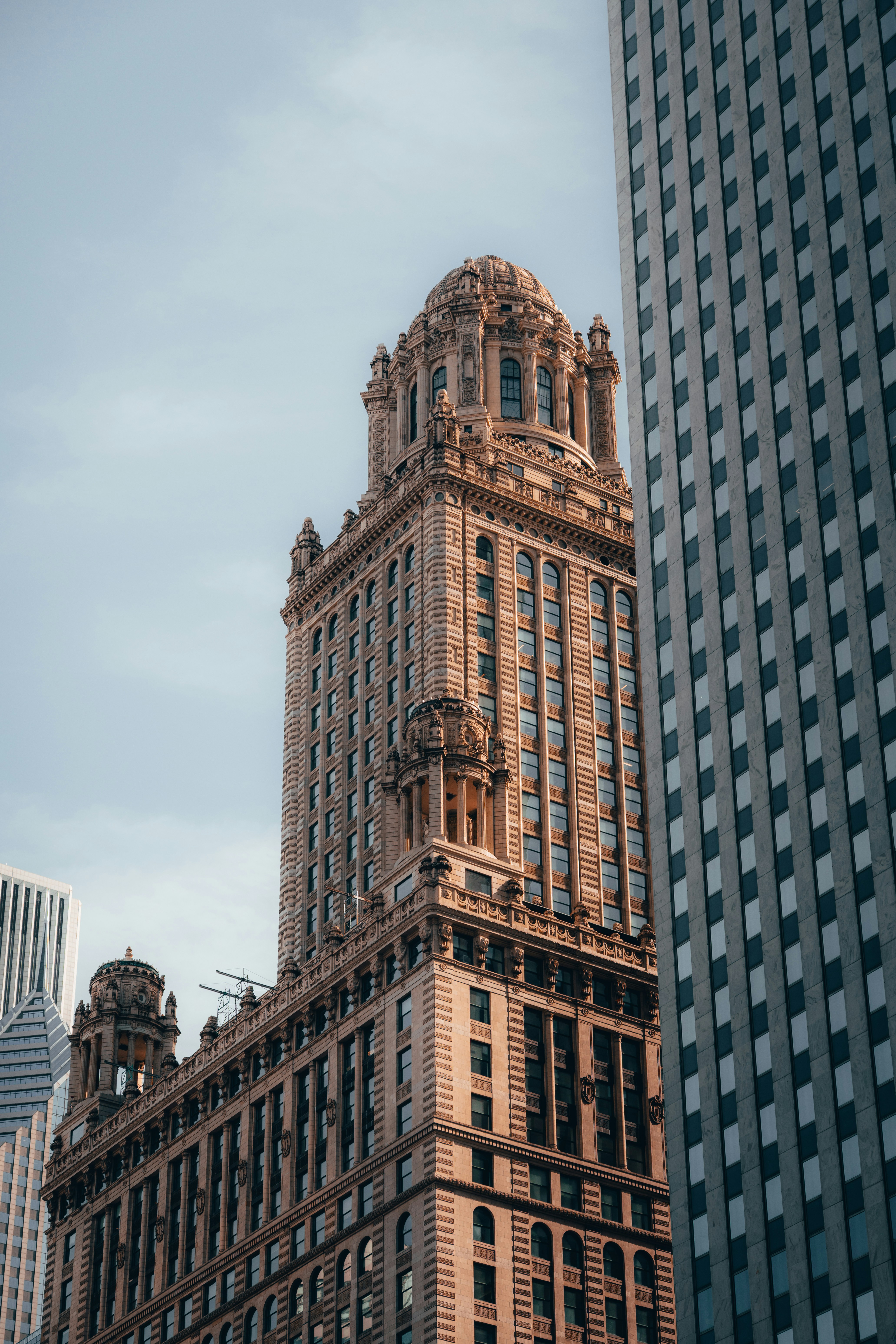 Tall buildings stand majestically in the city skyline.