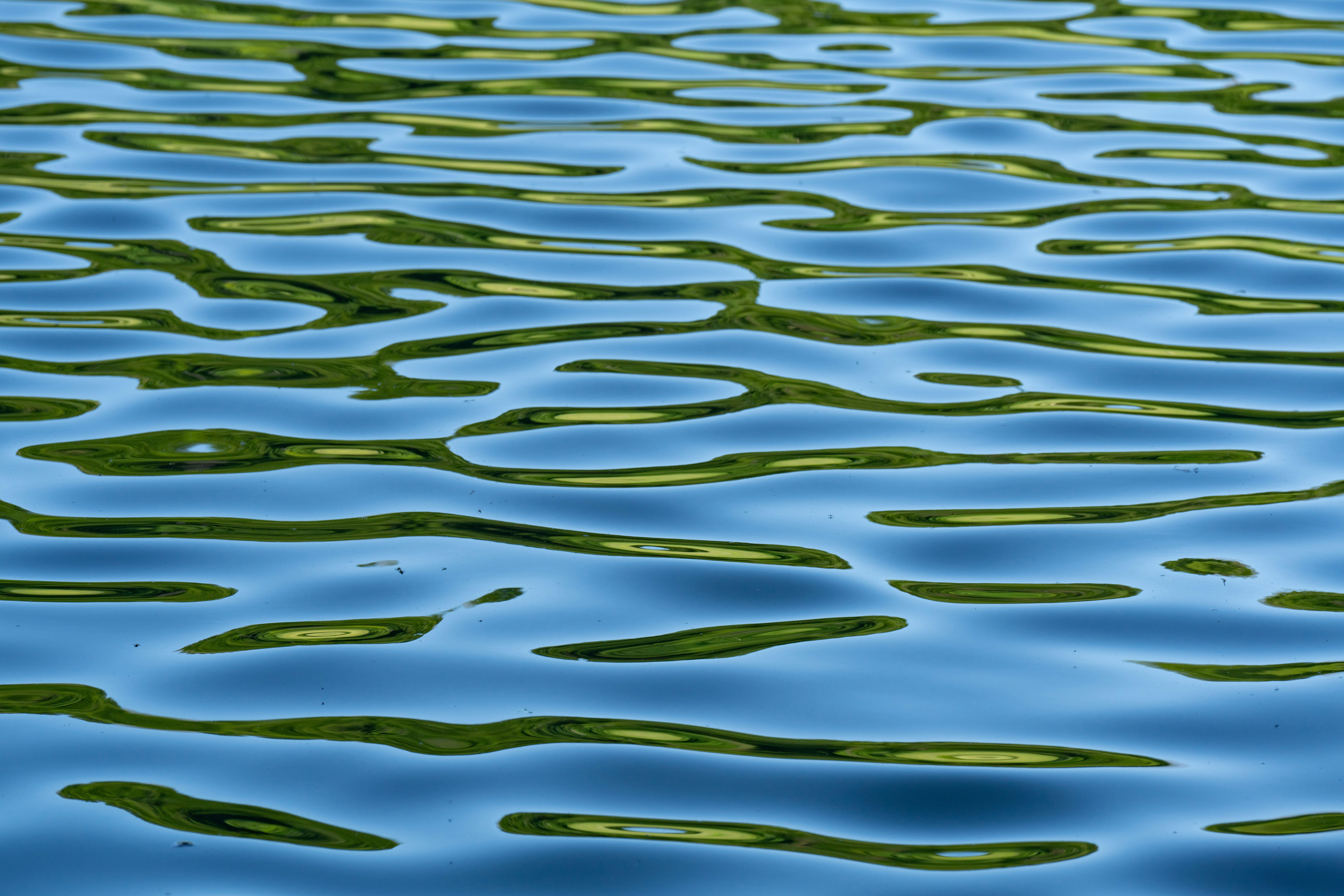 Ribboned Ripples: Blue Water Intertwined with Green Reflections