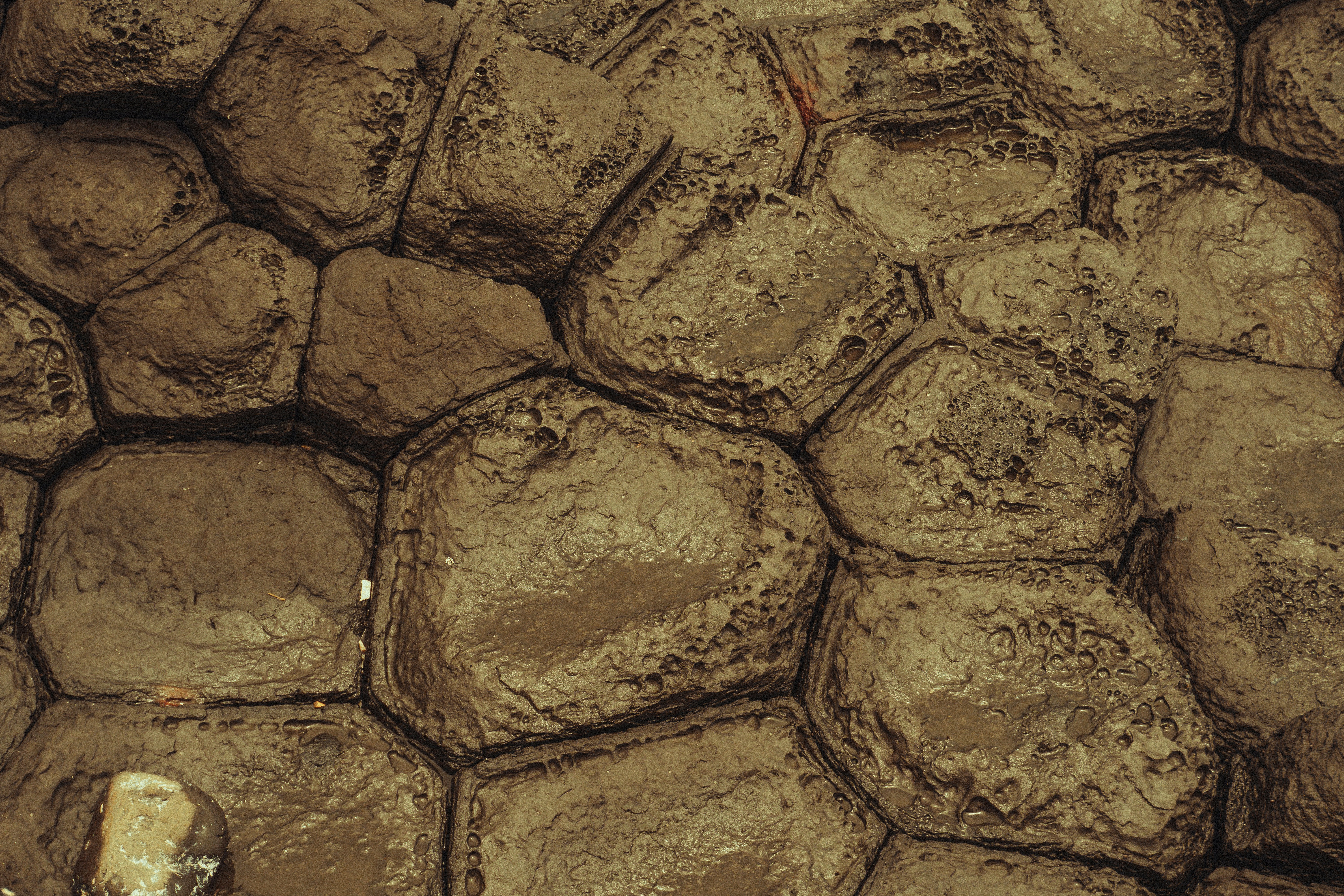 Rain-Worn Cobblestone Mosaic: An Intimate Study of Earthy Geometry
