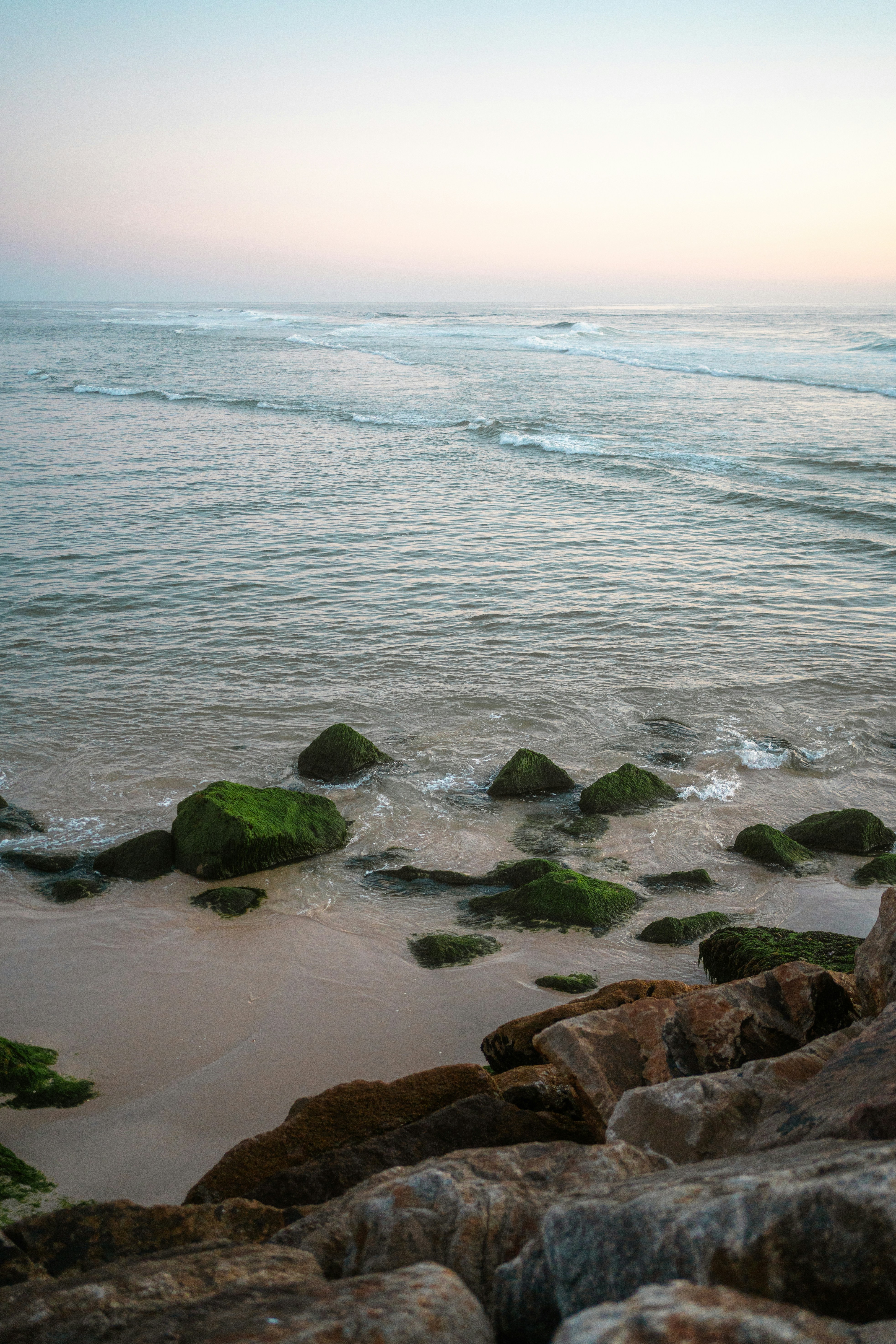 Moss-Crowned Shoreline: Quiet Tide at Dusk