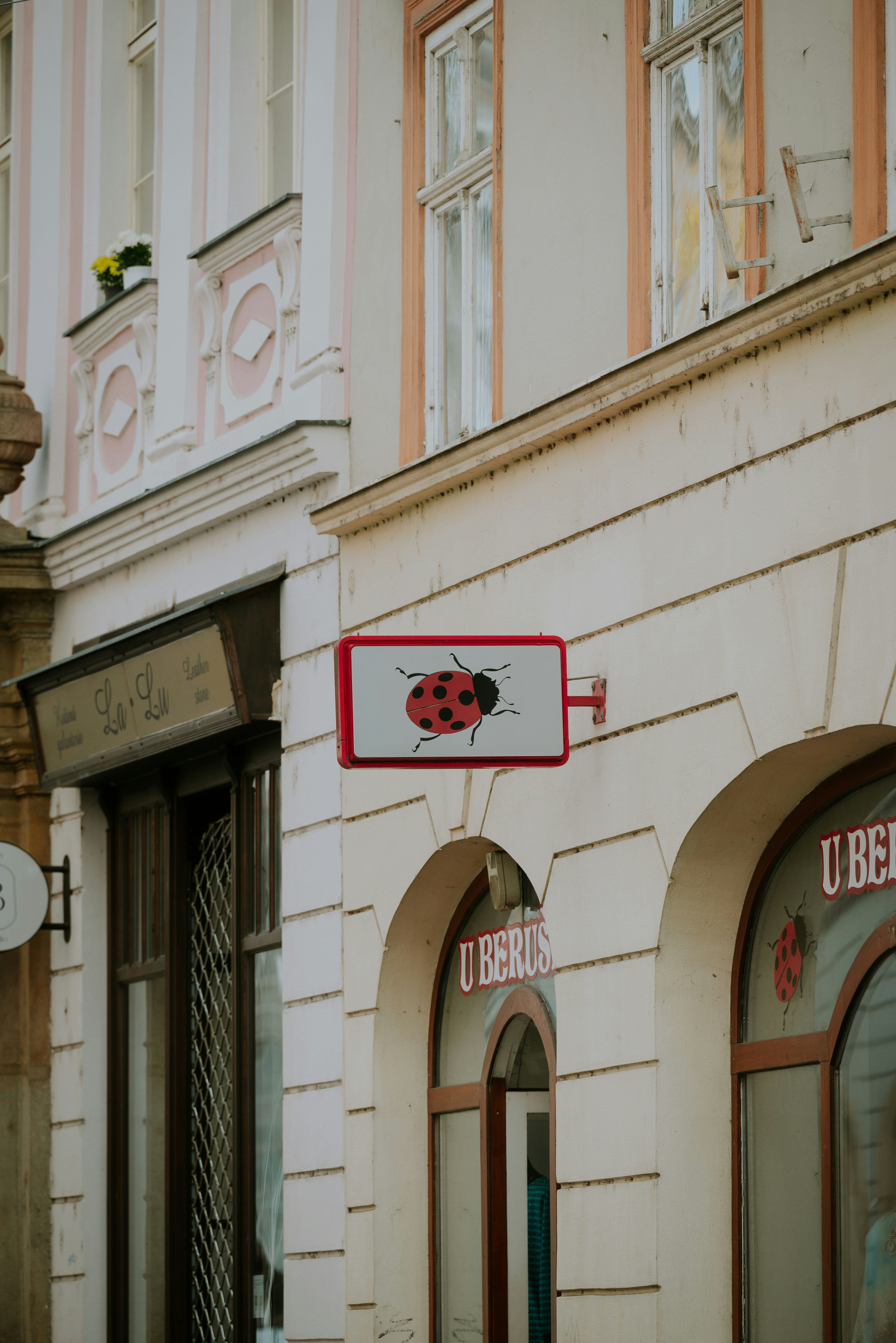 A building shows signs with ladybugs. photo – Free Building Image on ...