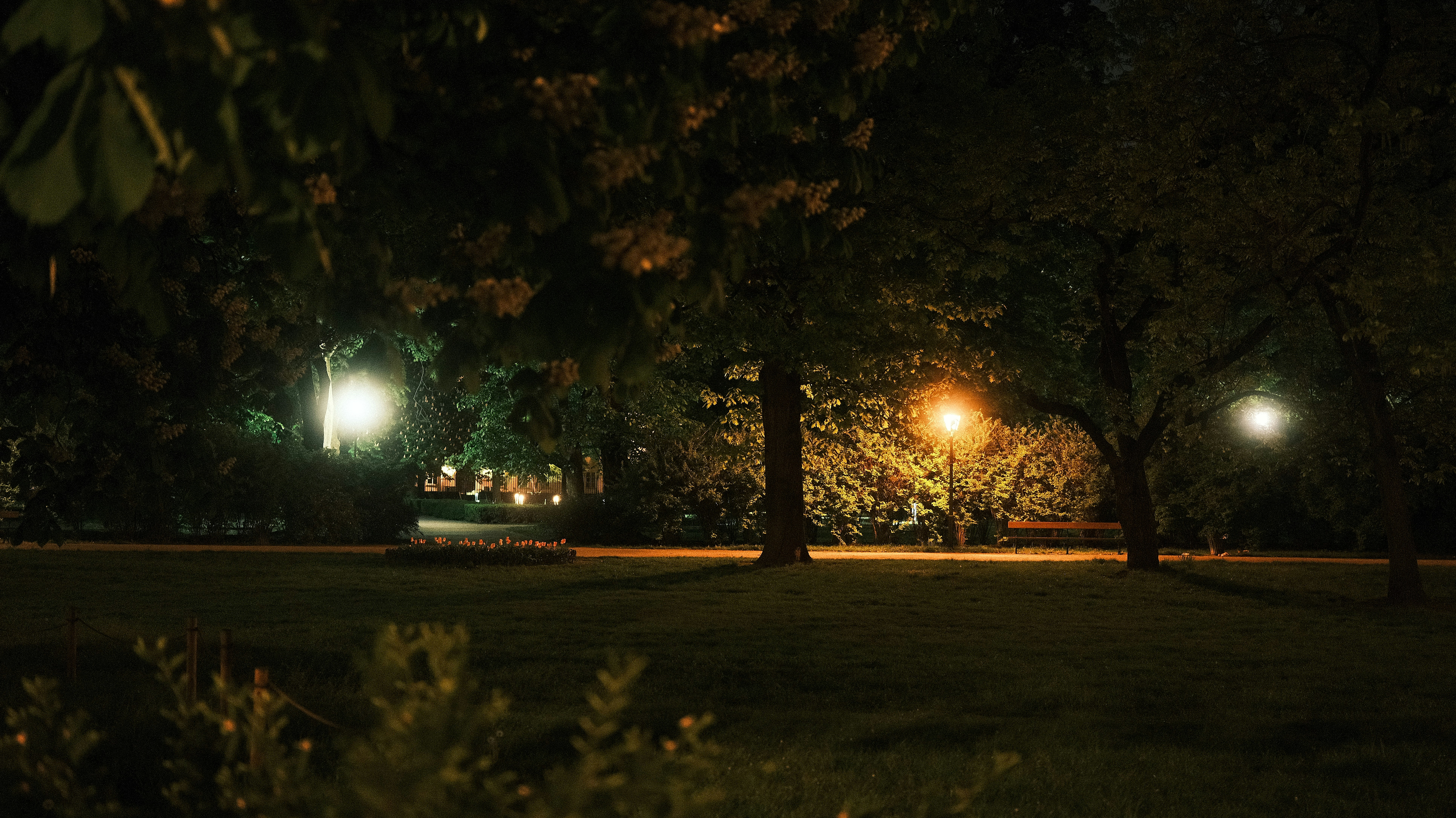 Nighttime park scene with glowing streetlights. photo – Free Night ...