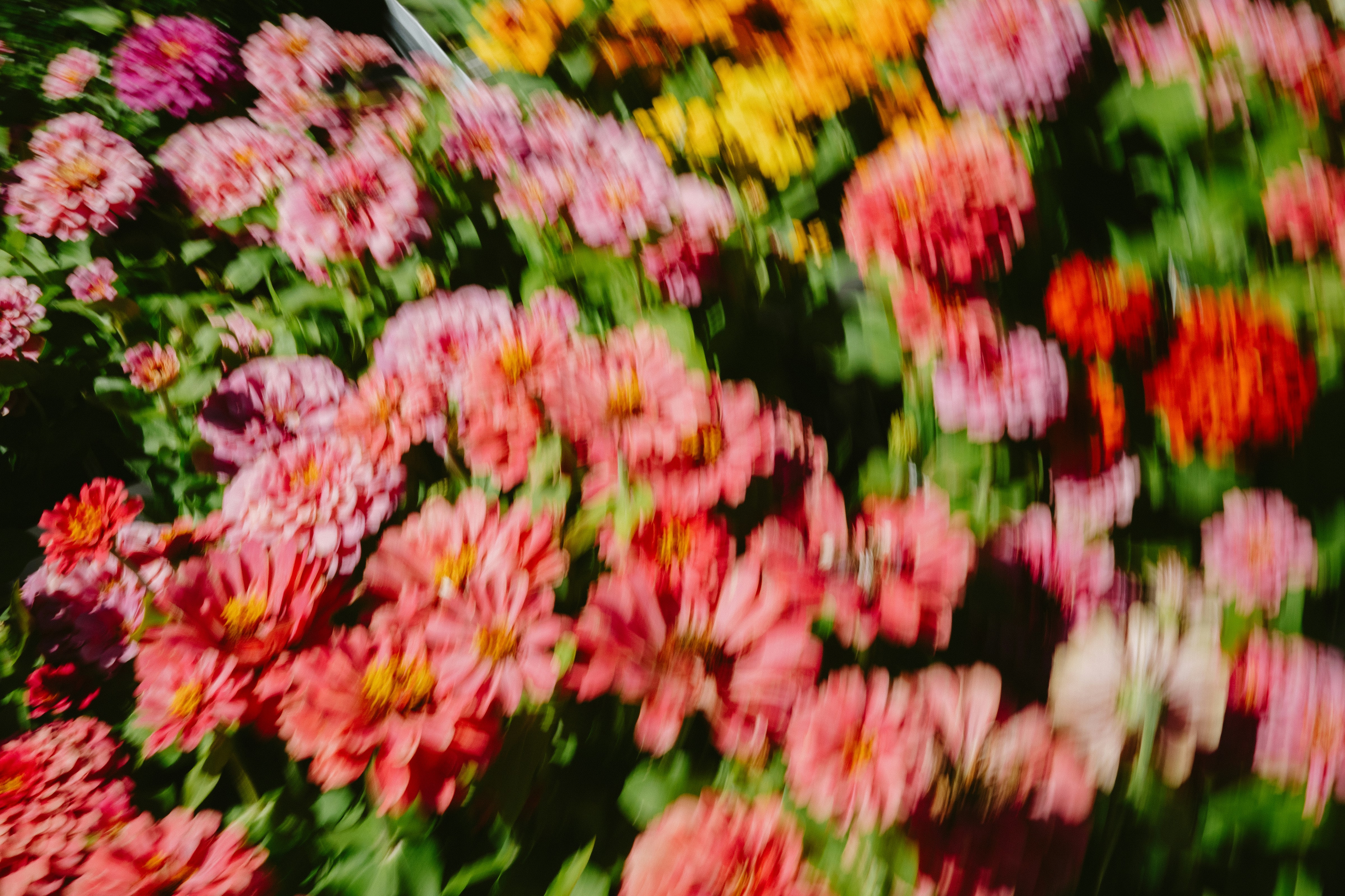 Photo by Fujiphilm with Ricoh GR IIIx