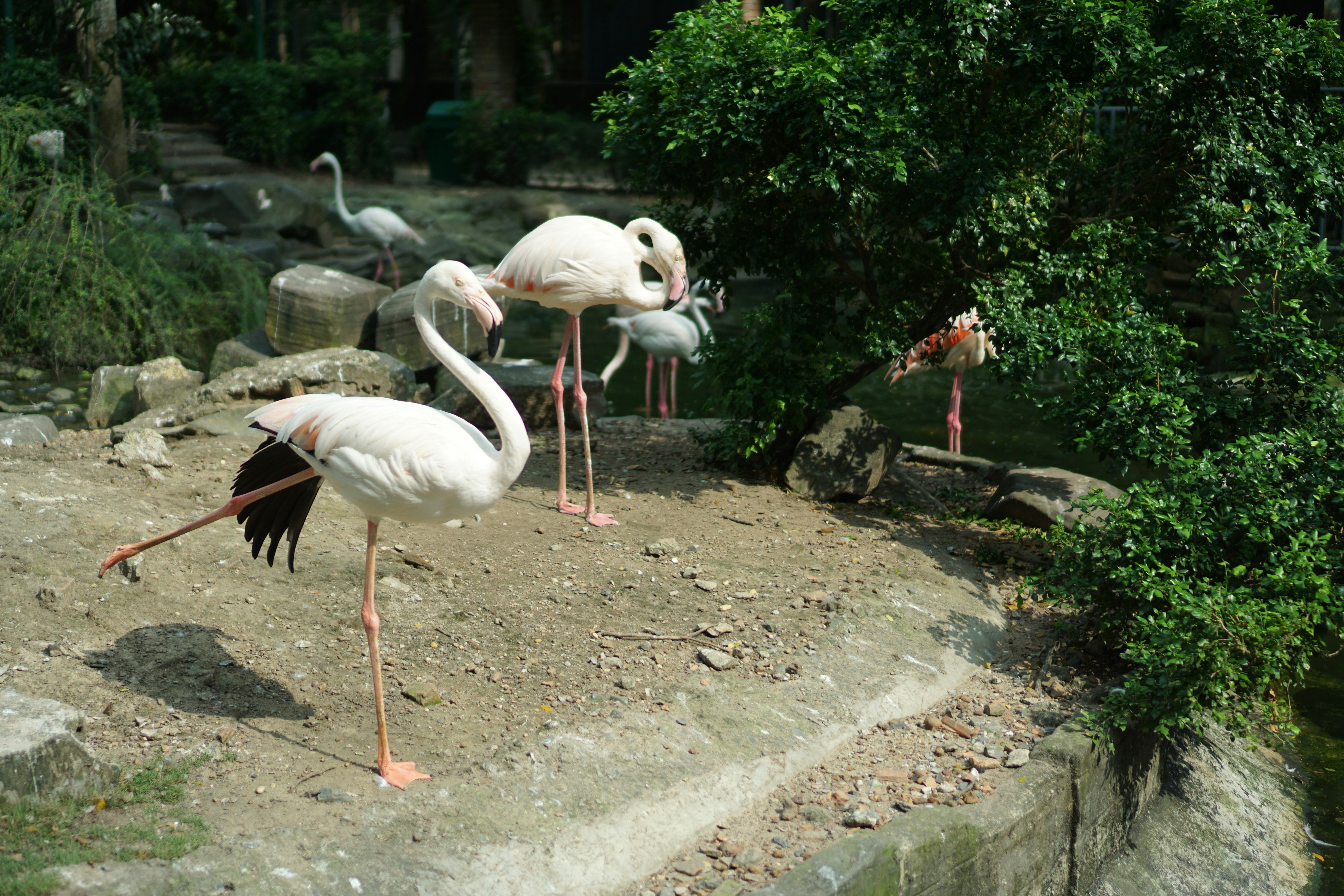 Ultimate Taipei Zoo Guide
