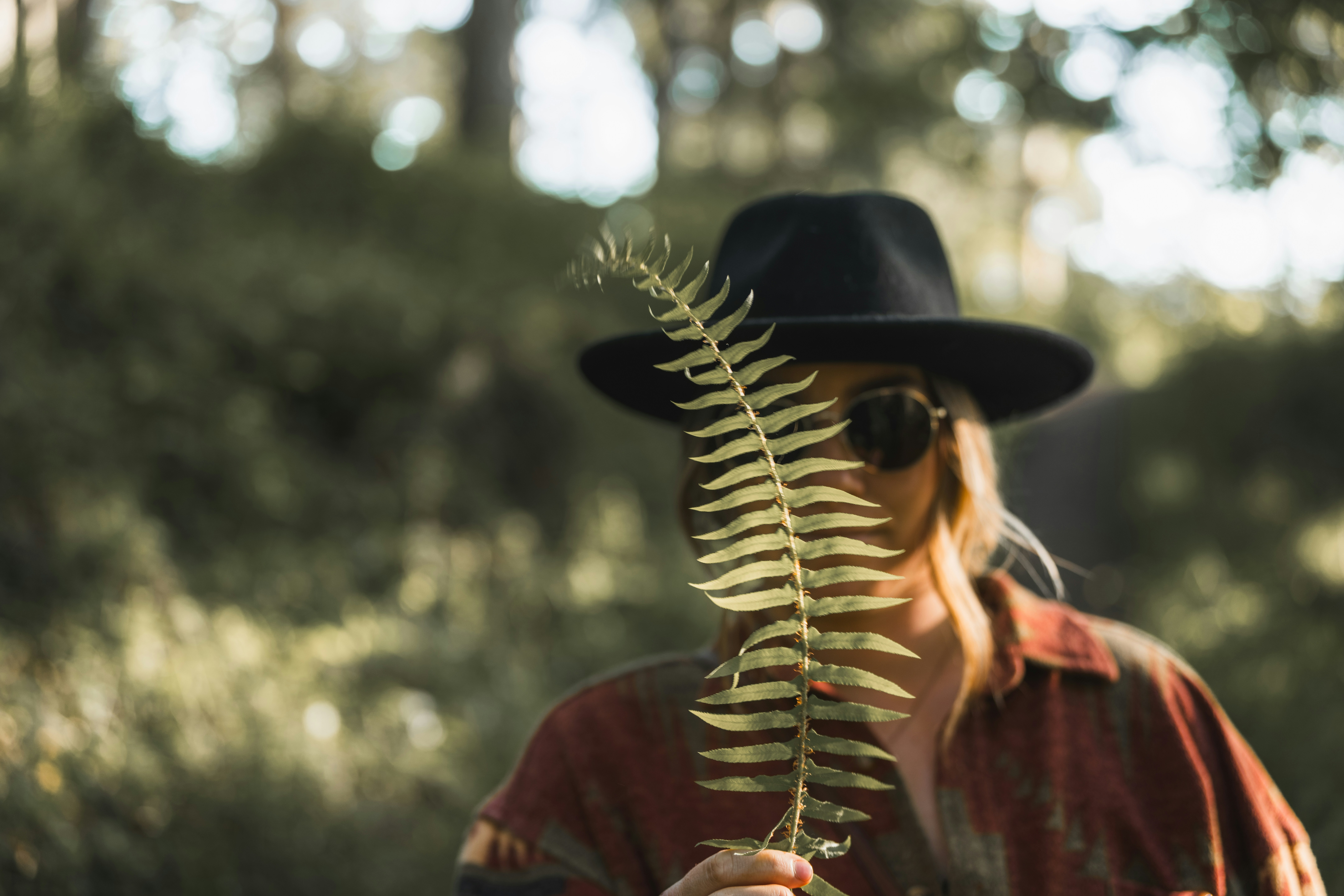 Fern in Focus: a Portrait Steeped in Dappled Forest Light
