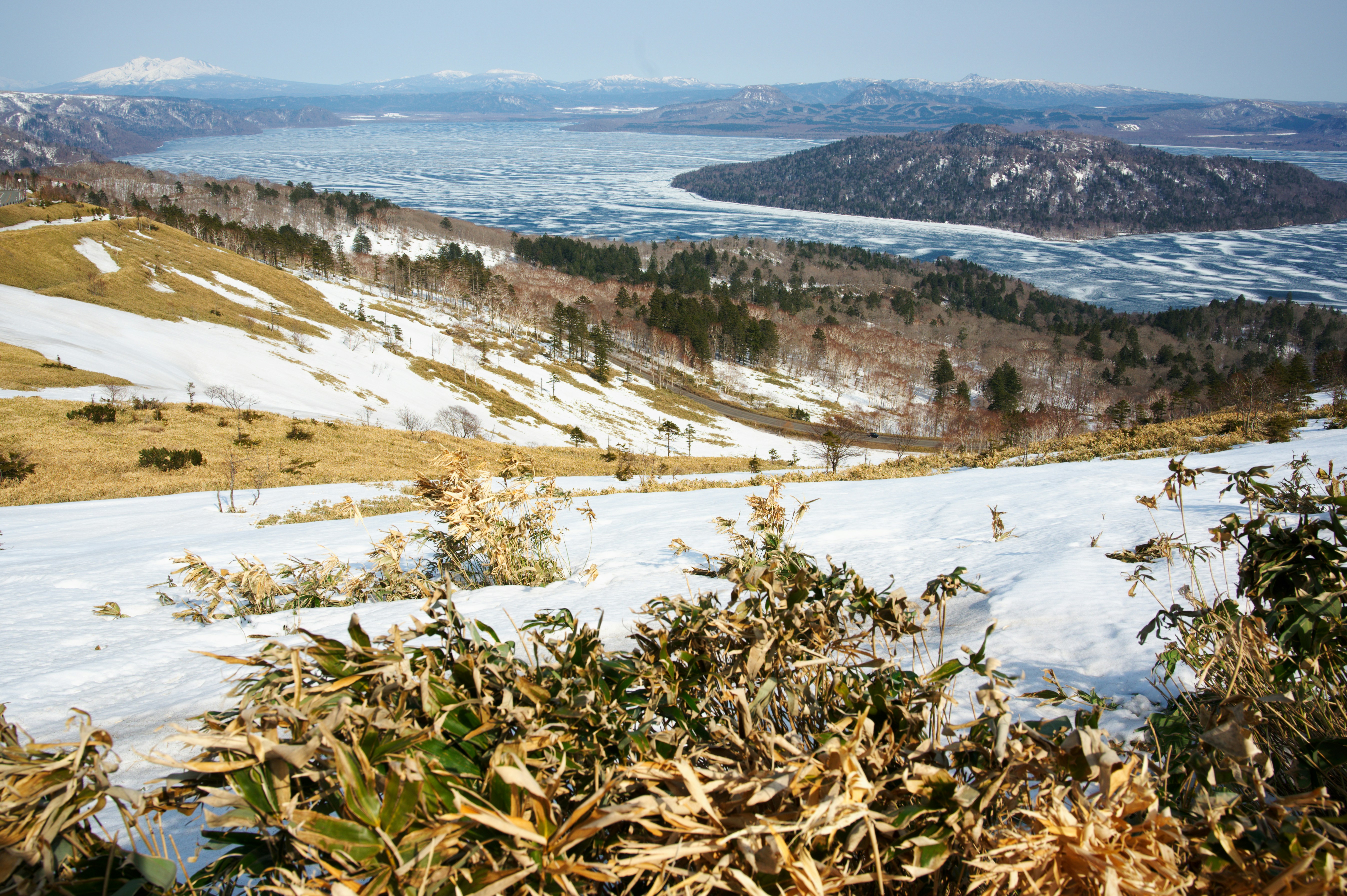 Whispers of Winter: A Serene Landscape