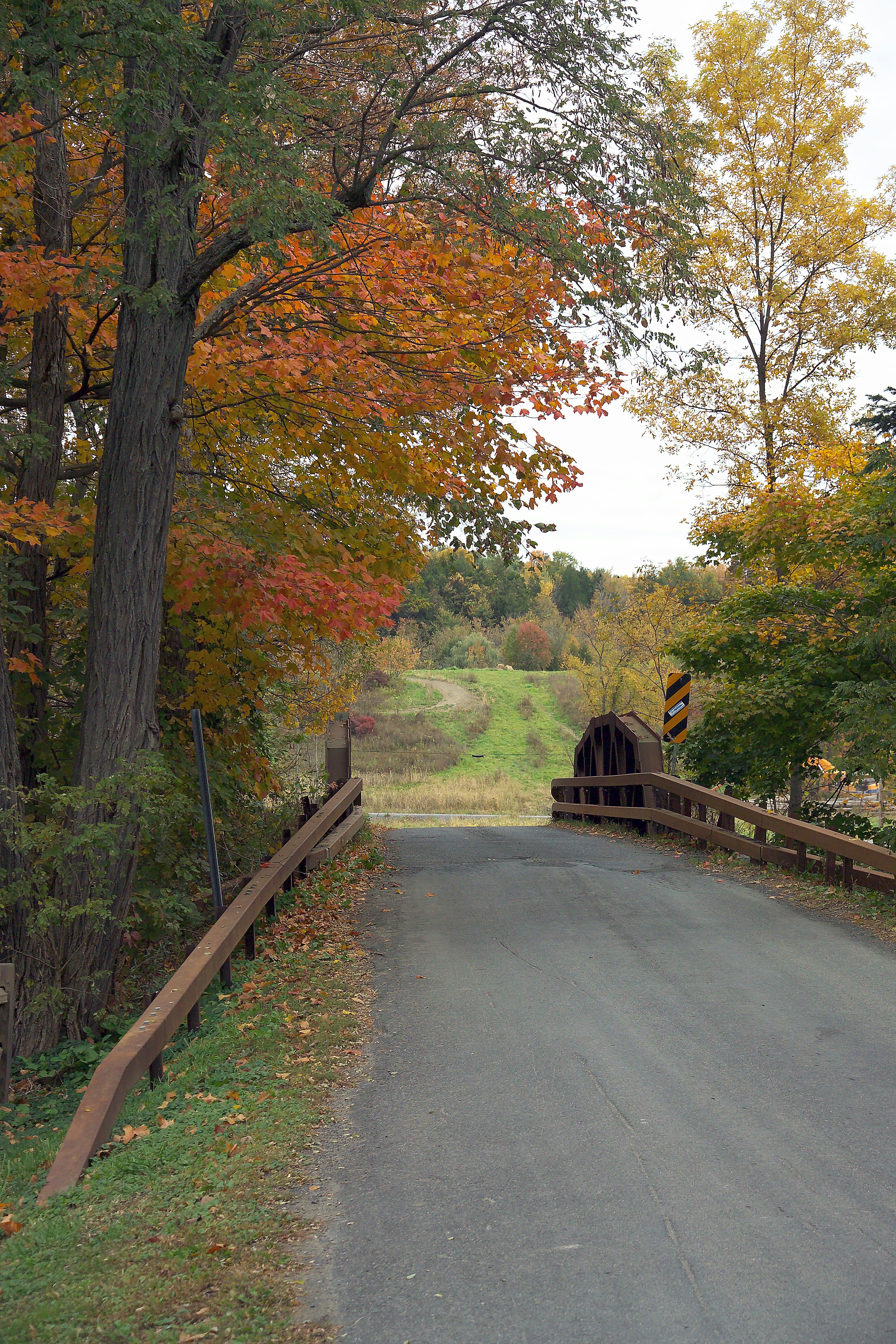 A rustic bridge surrounded by vibrant autumn foliage leads to a gentle slope in the distance, showcasing the beauty of fall. The scene captures the essence of a tranquil rural landscape.