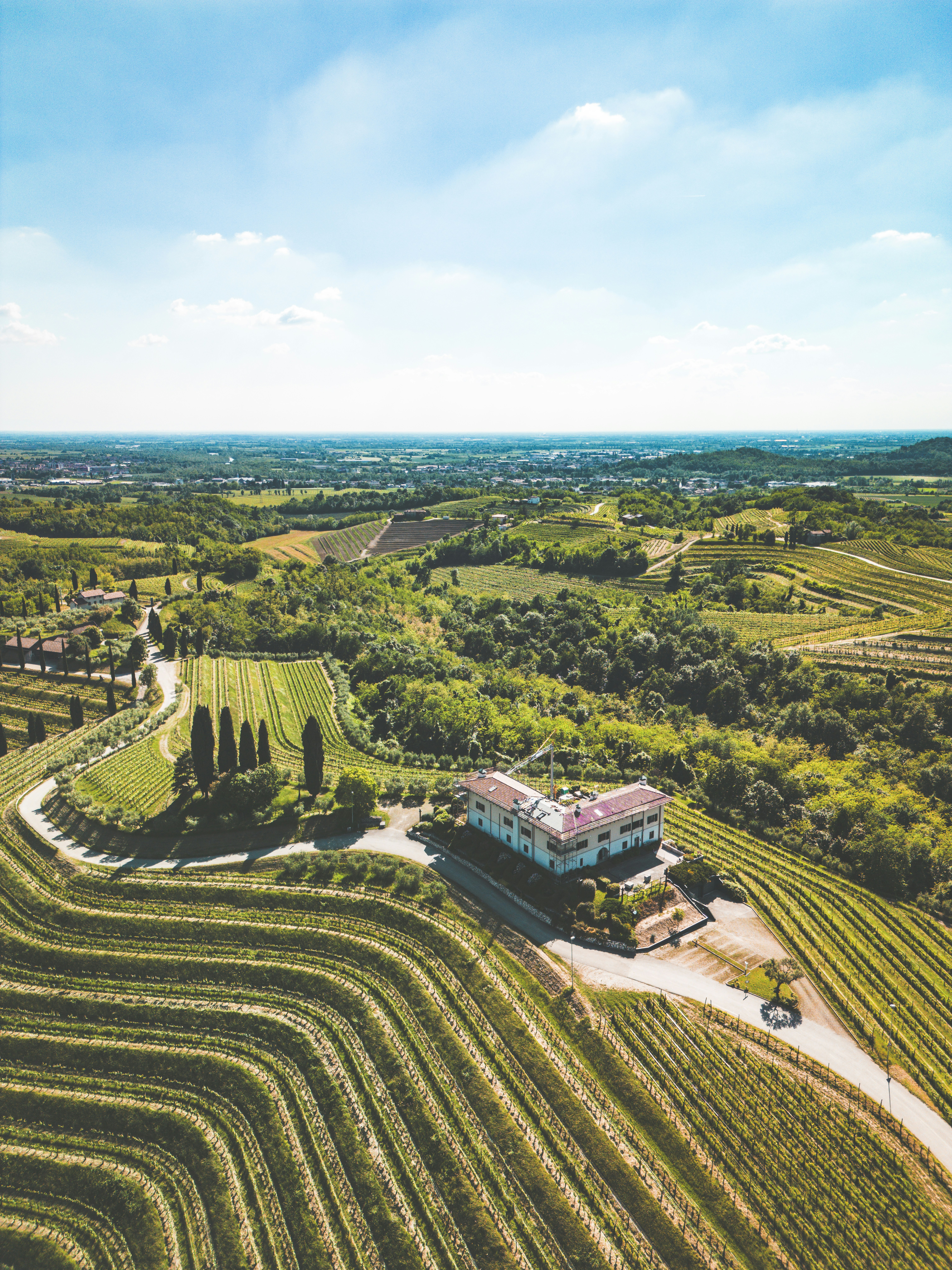 Terraced Vineyard Overlook: A Rustic Villa Nestled in Golden Rows