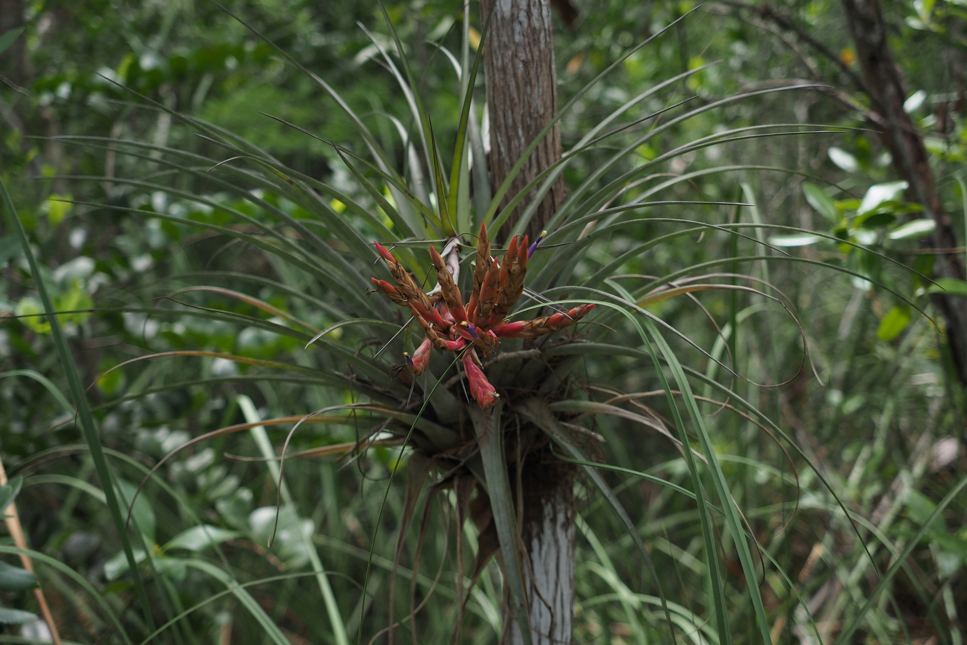Photo by Shino Nakamura with Olympus OM-D E-M10