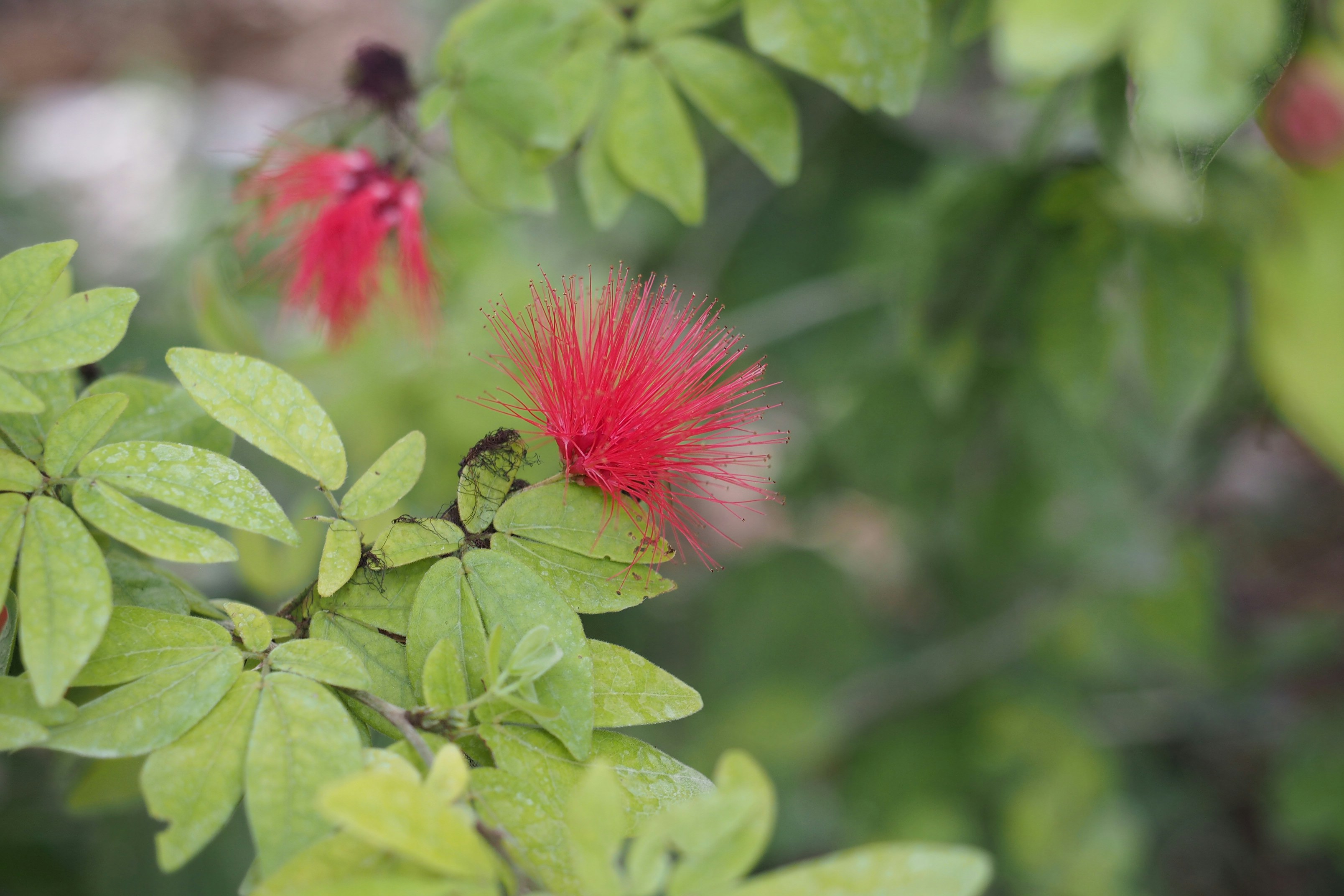 Photo by Shino Nakamura with Olympus OM-D E-M10