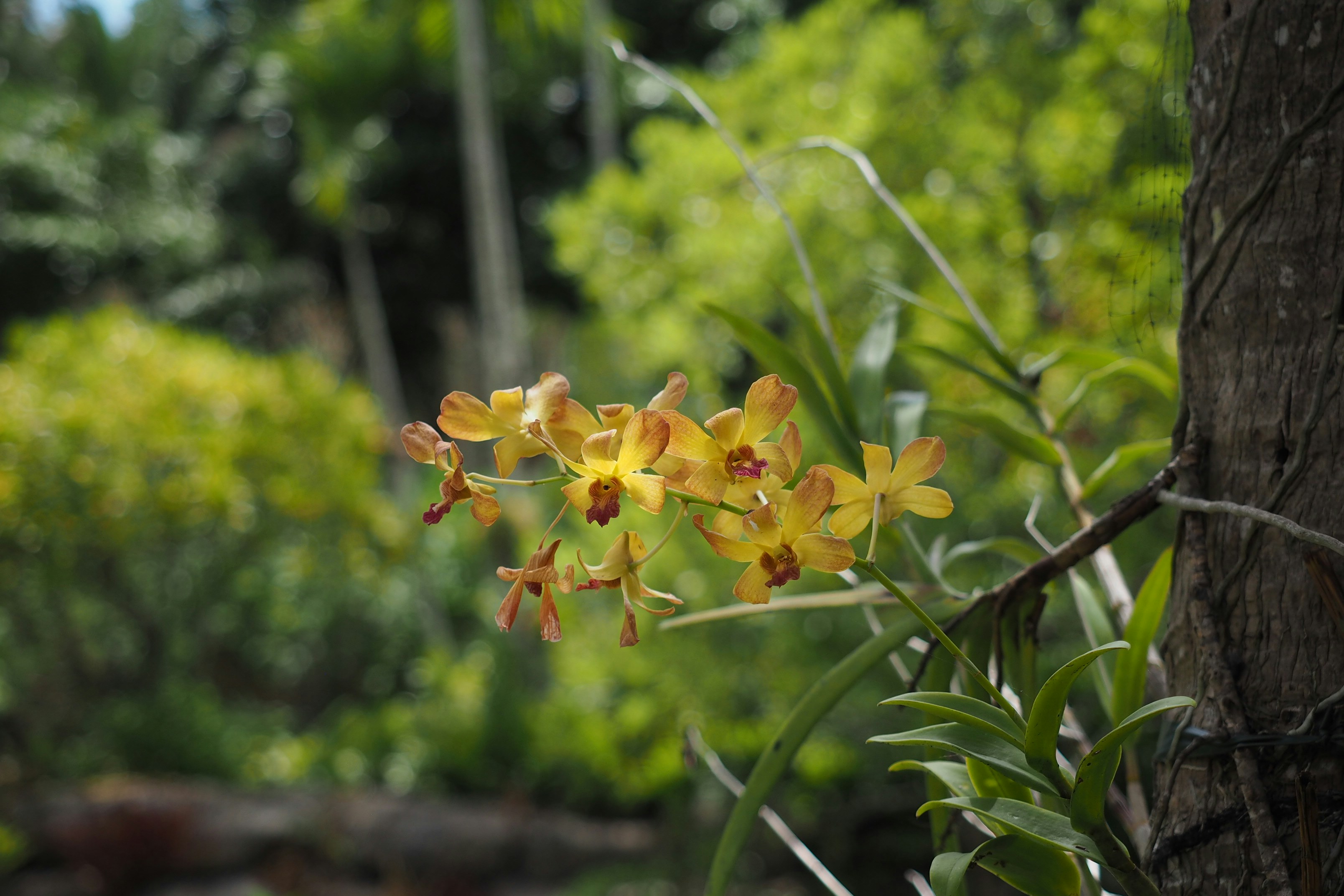 Photo by Shino Nakamura with Olympus OM-D E-M10