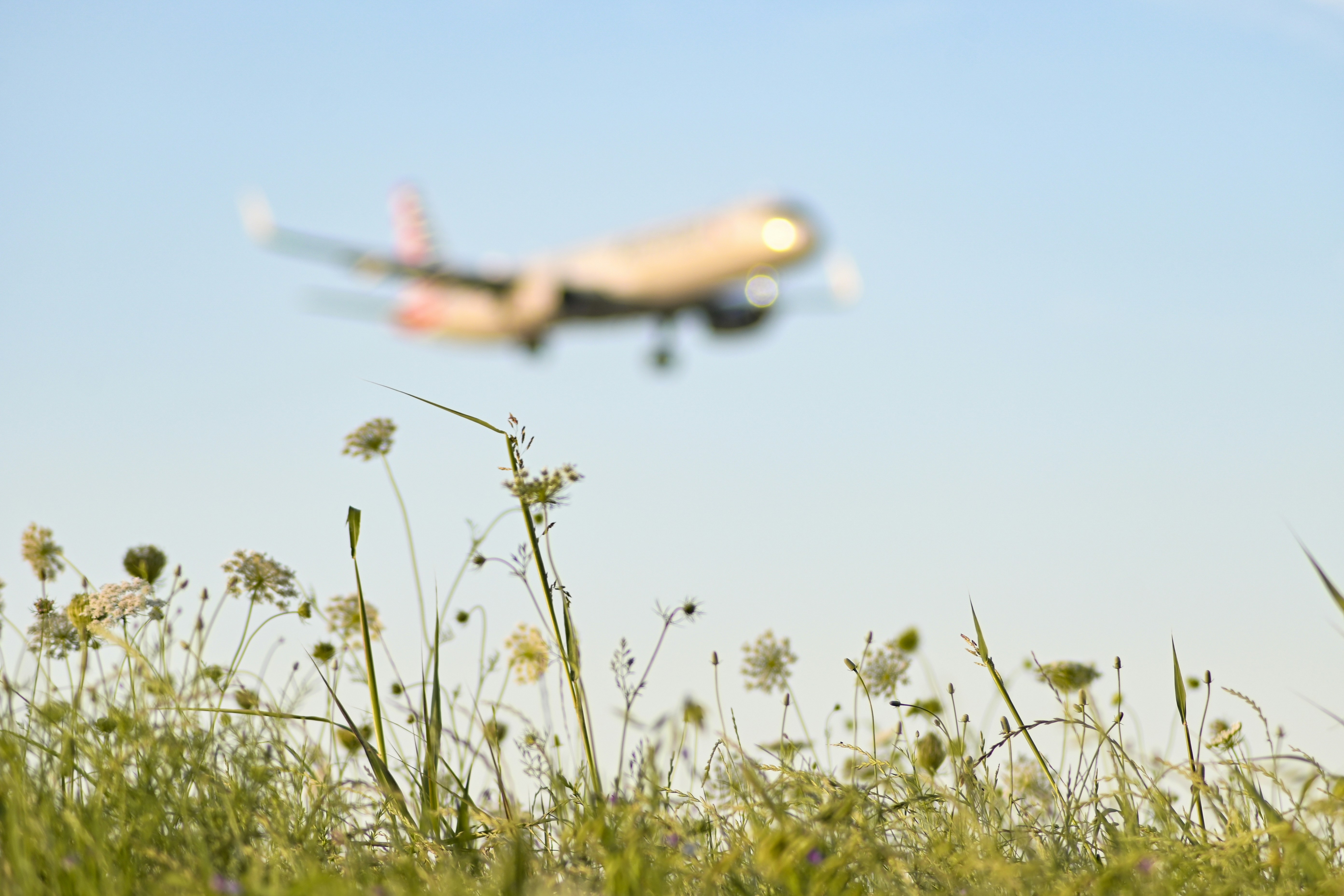 An airplane approaches over green grass. photo – Free Wallpaper Image ...